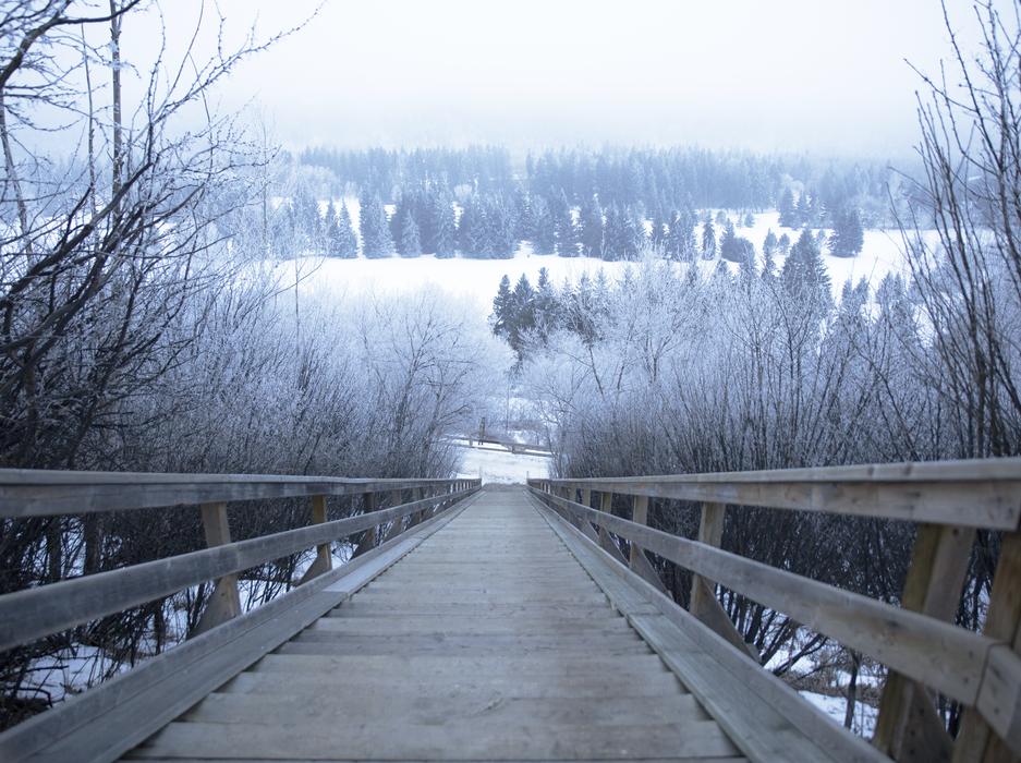 Stairs Winter Cold free image download
