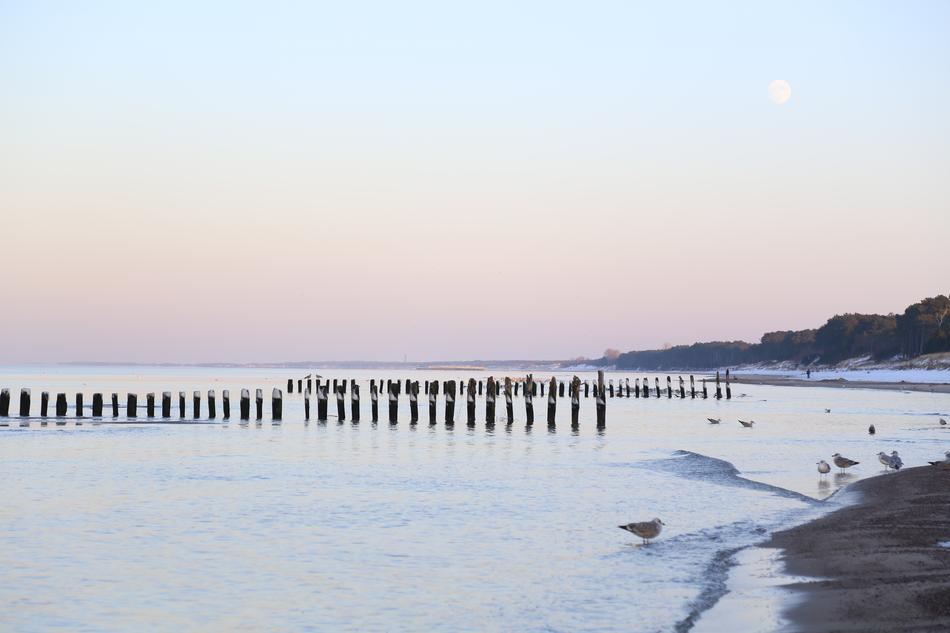 Winter Ice Beach free image download