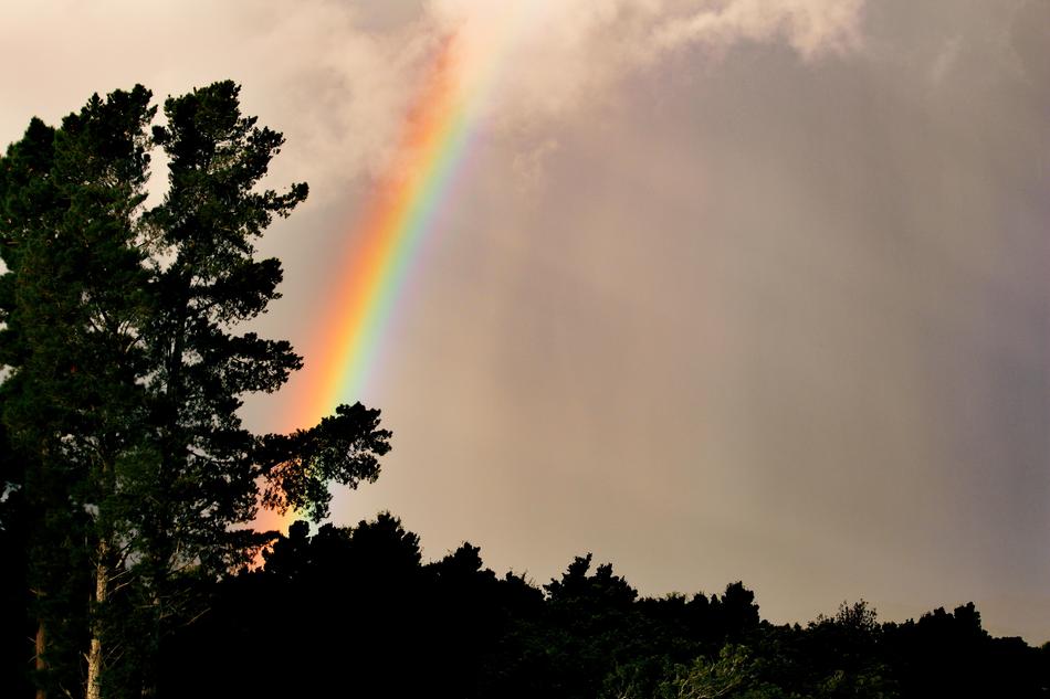 Rainbow Nature scene free image download
