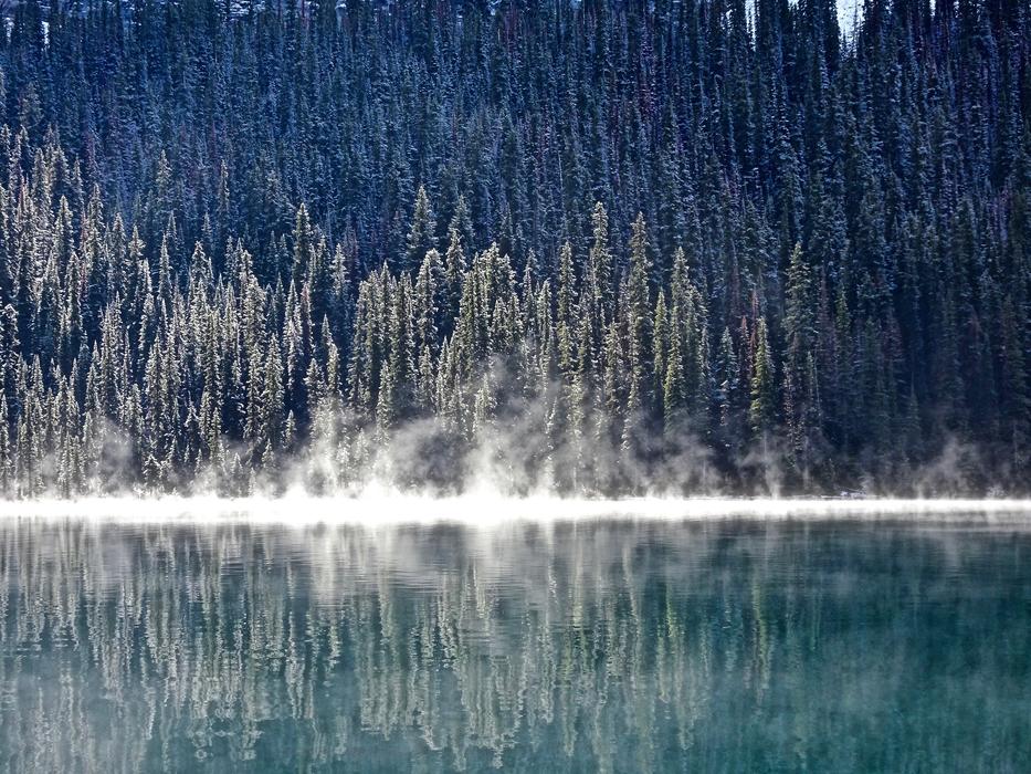 Mist Morning Lake free image download