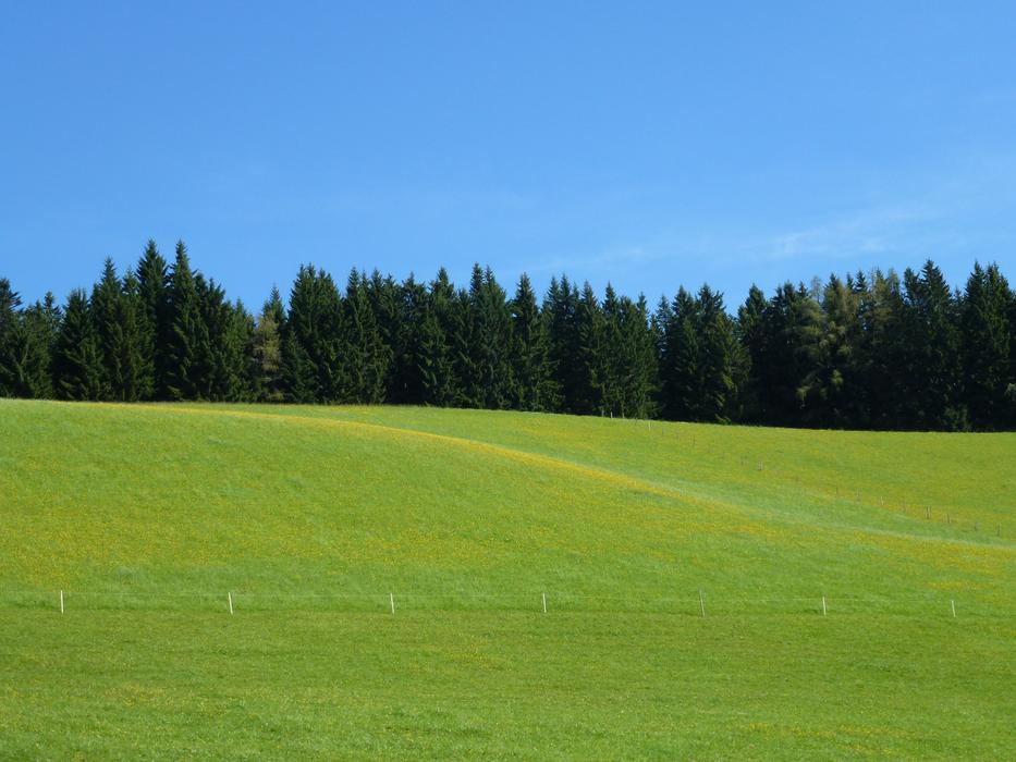 Landscape Green Beautiful Day free image download