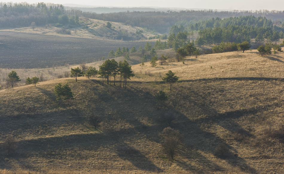 Landscape Nature Open Space free image download
