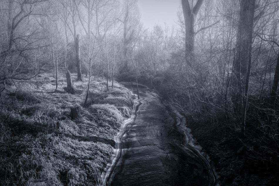 River Frozen Fog free image download