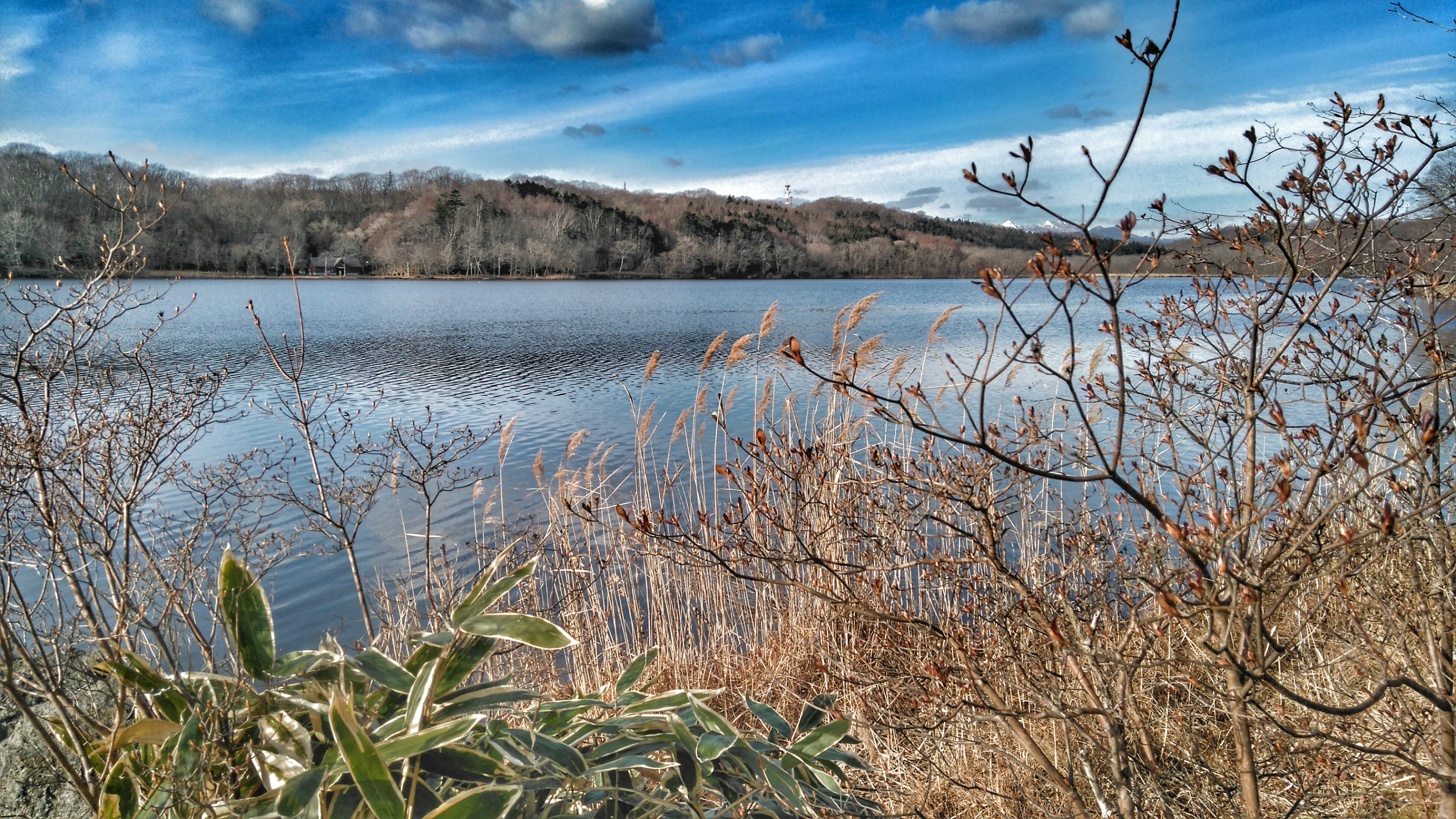 Lake Beautiful free image download