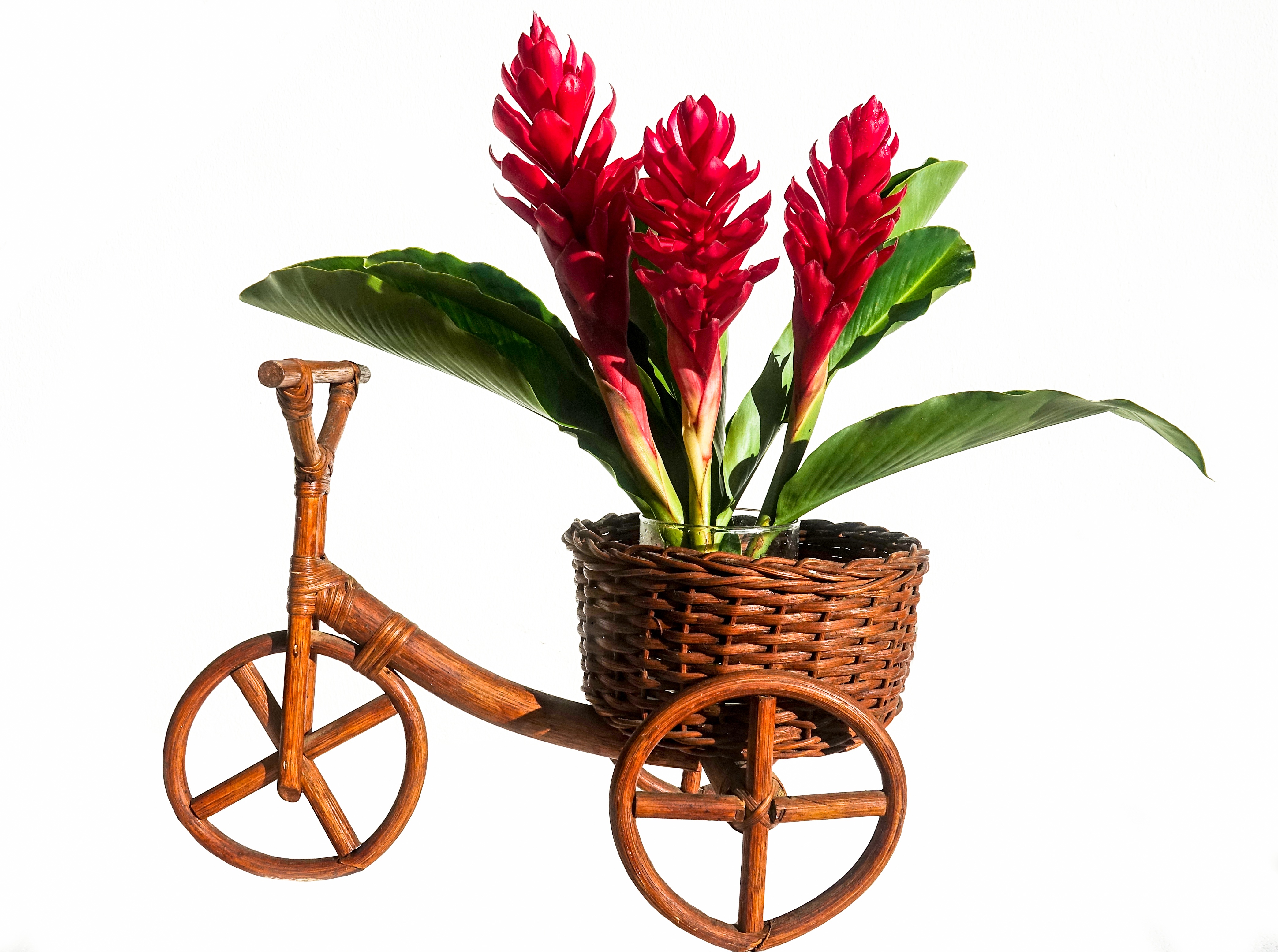 Flowers Arrangement Deco free image download