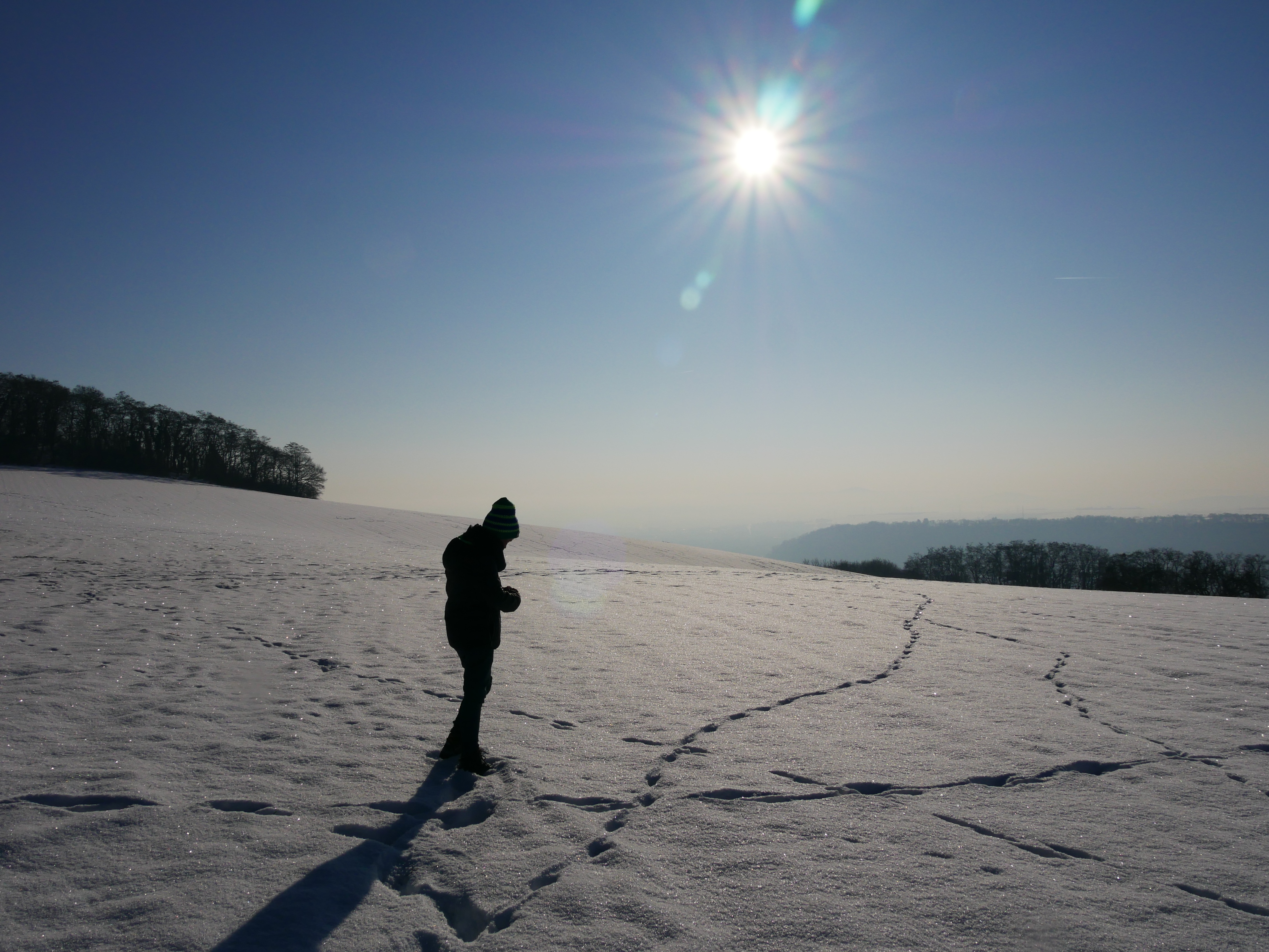 Snow Alone Landscape free image download