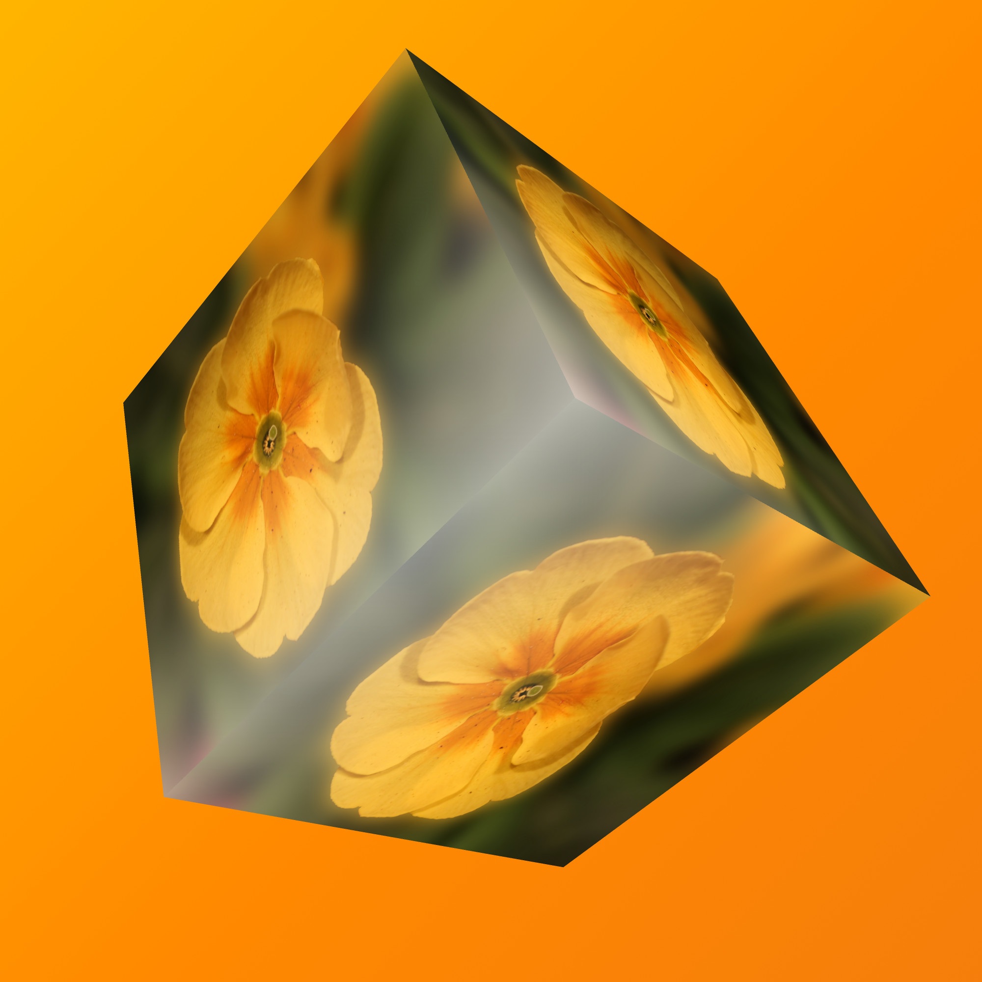 Cube flower pansy 3dw%C3%BCrfel free image download