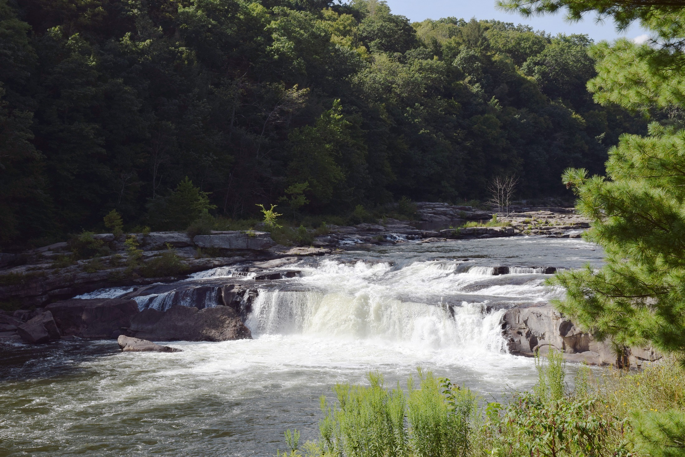 Waterfall Landscape Stream free image download