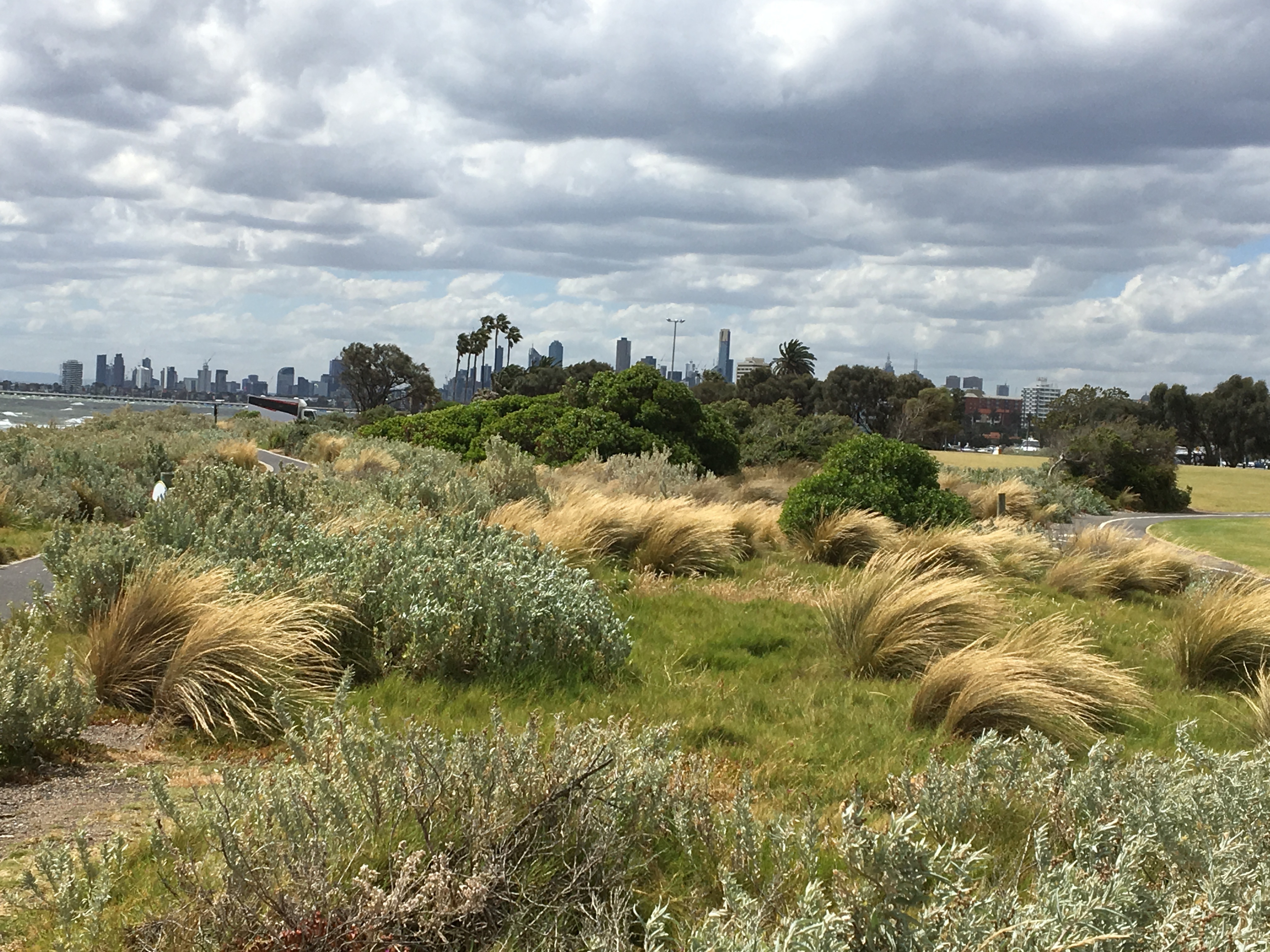 Australia Grass Green free image download