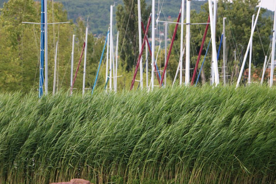 Iron and grass landscape free image download