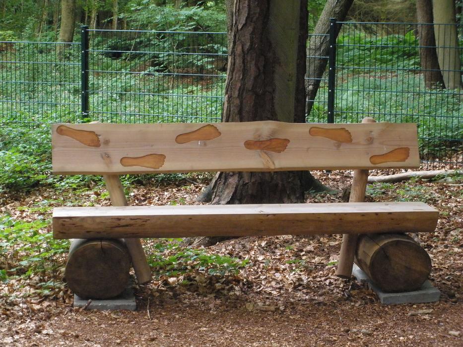 Wooden Bench Rest Nature free image download