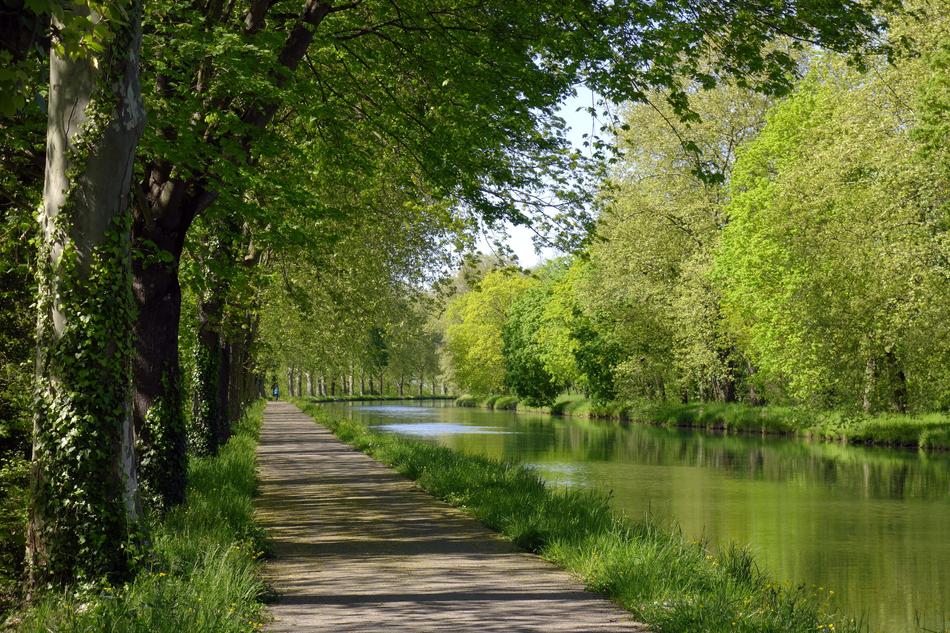 Landscape Nature Water free image download