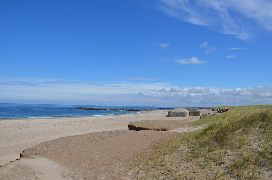 Denmark Beach Sea North free image download