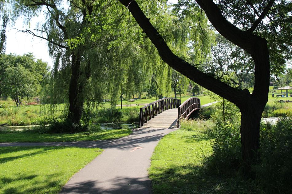 Bridge Landscape Nature free image download