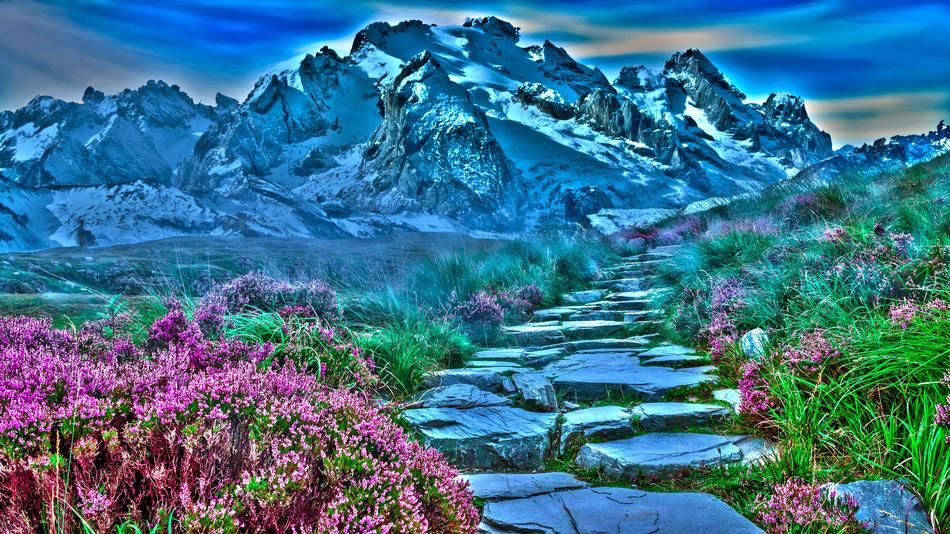 Pathway Nature Landscape free image download