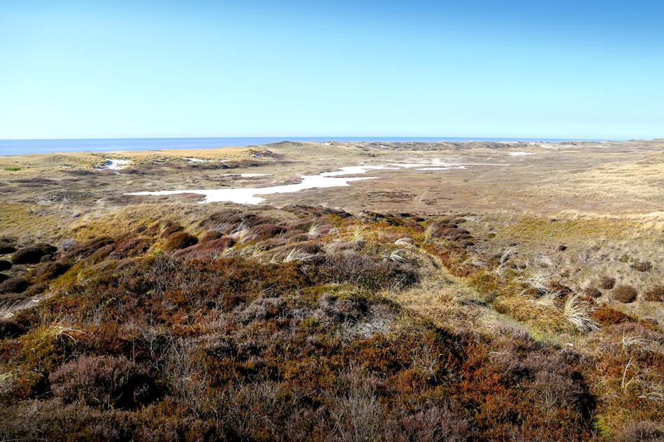 Dunes North Sea free image download