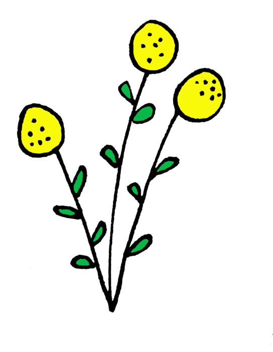 Flower dandelion faded illustration free image download