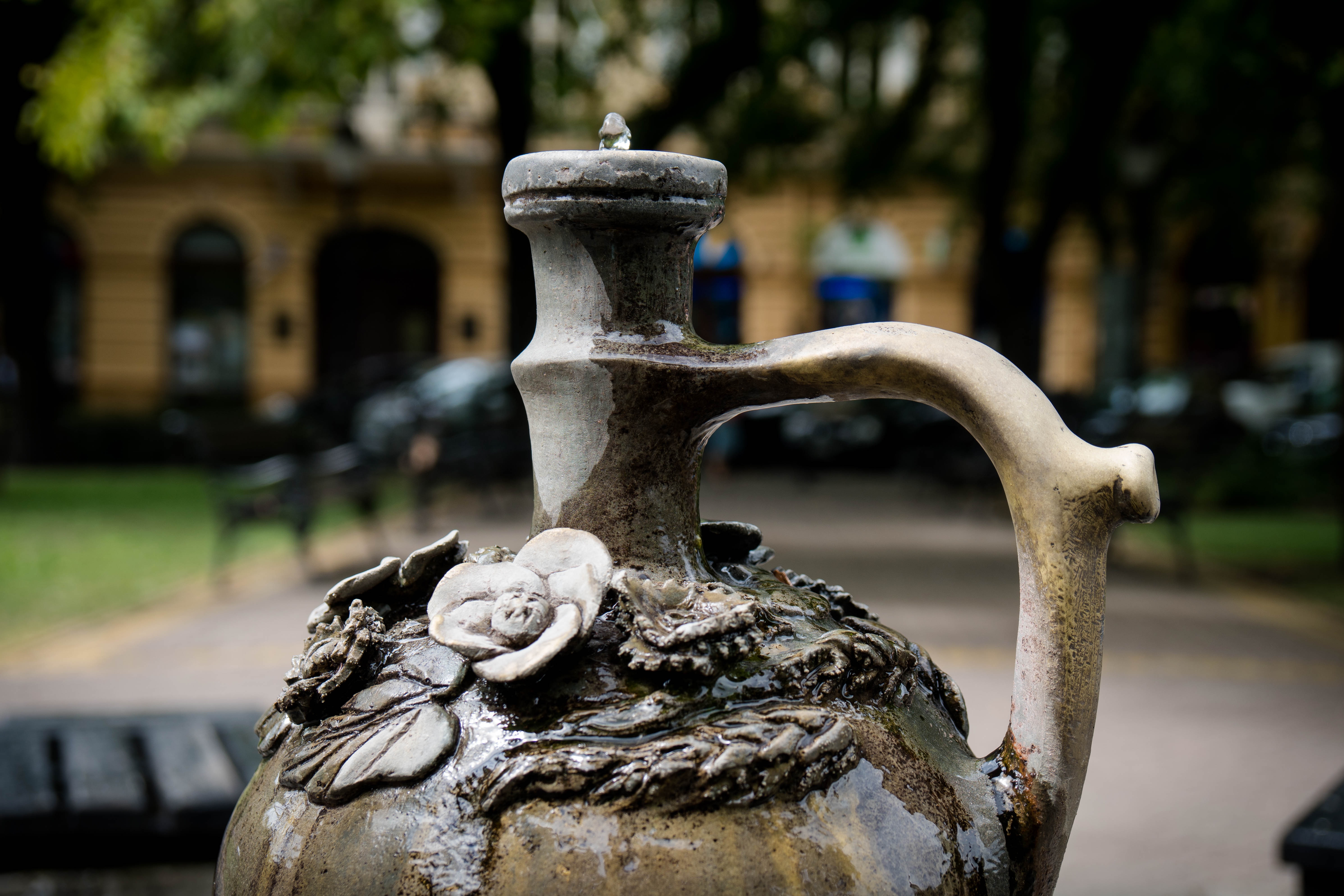 Fountain pitcher flowers free image download