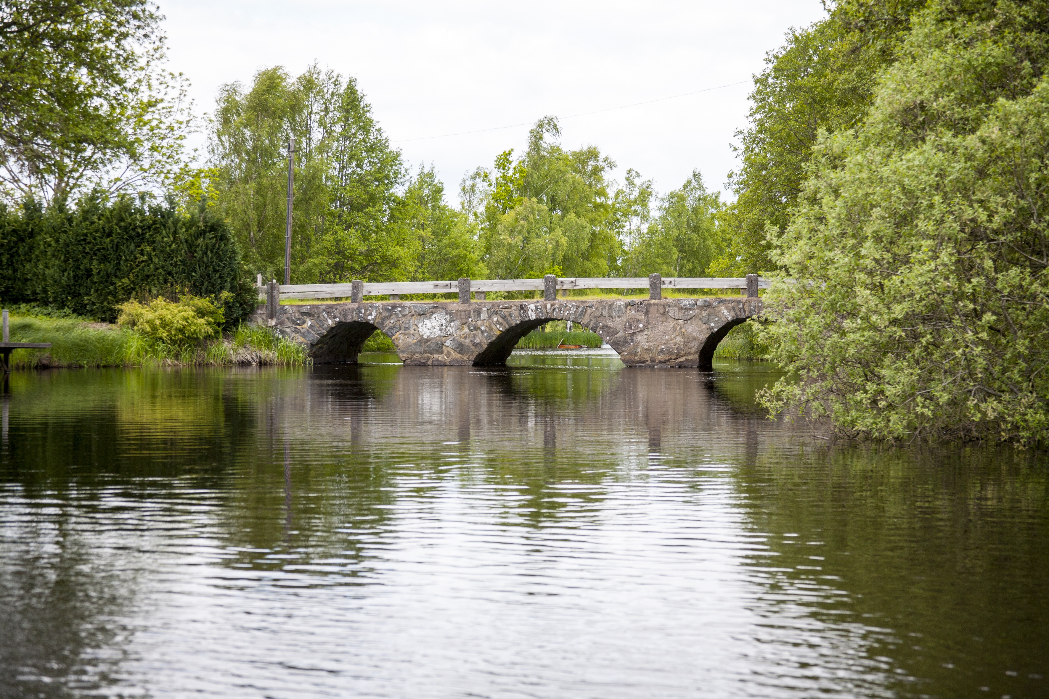 Stone Bridge Water Forest free image download