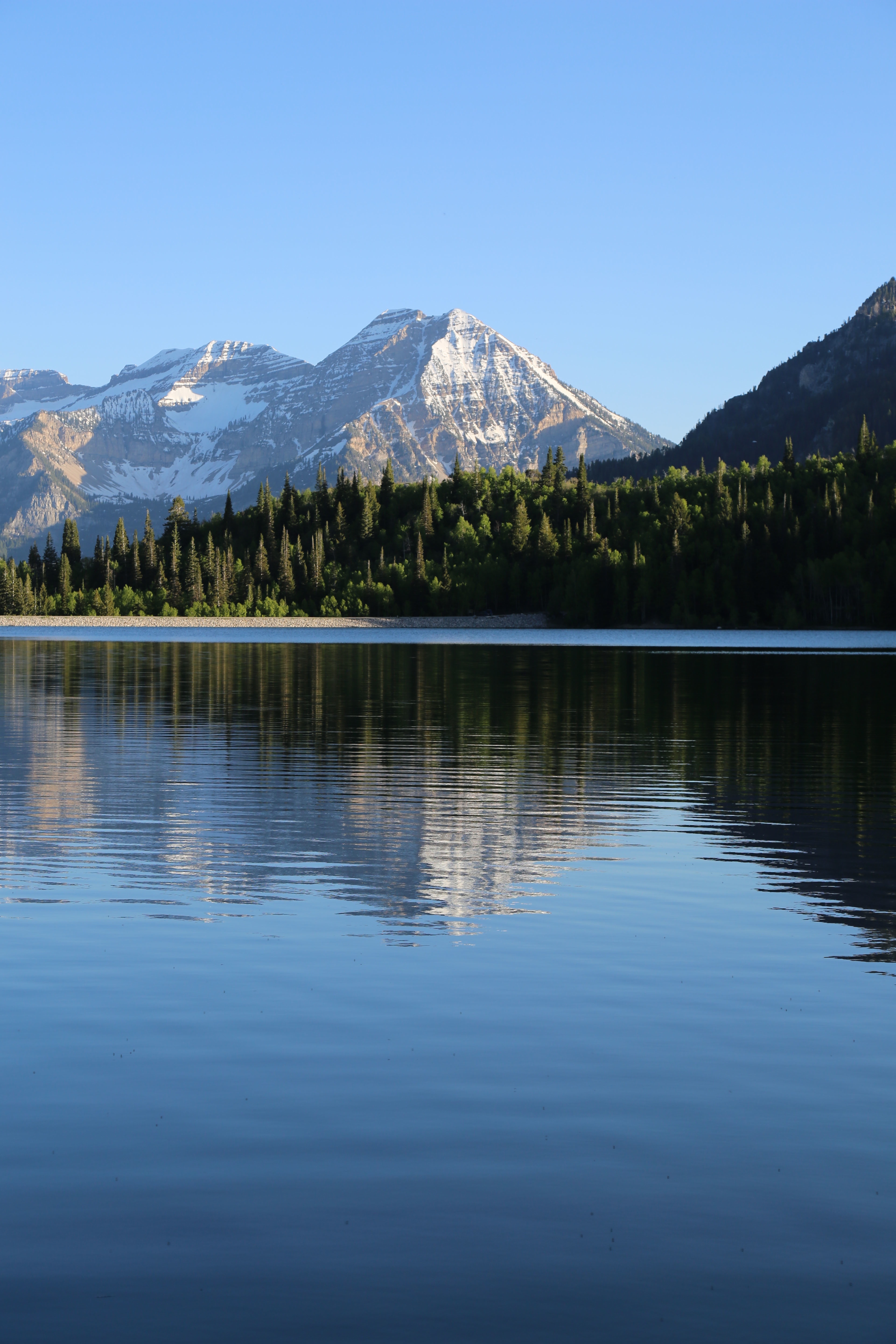 Lake Water Reflection free image download