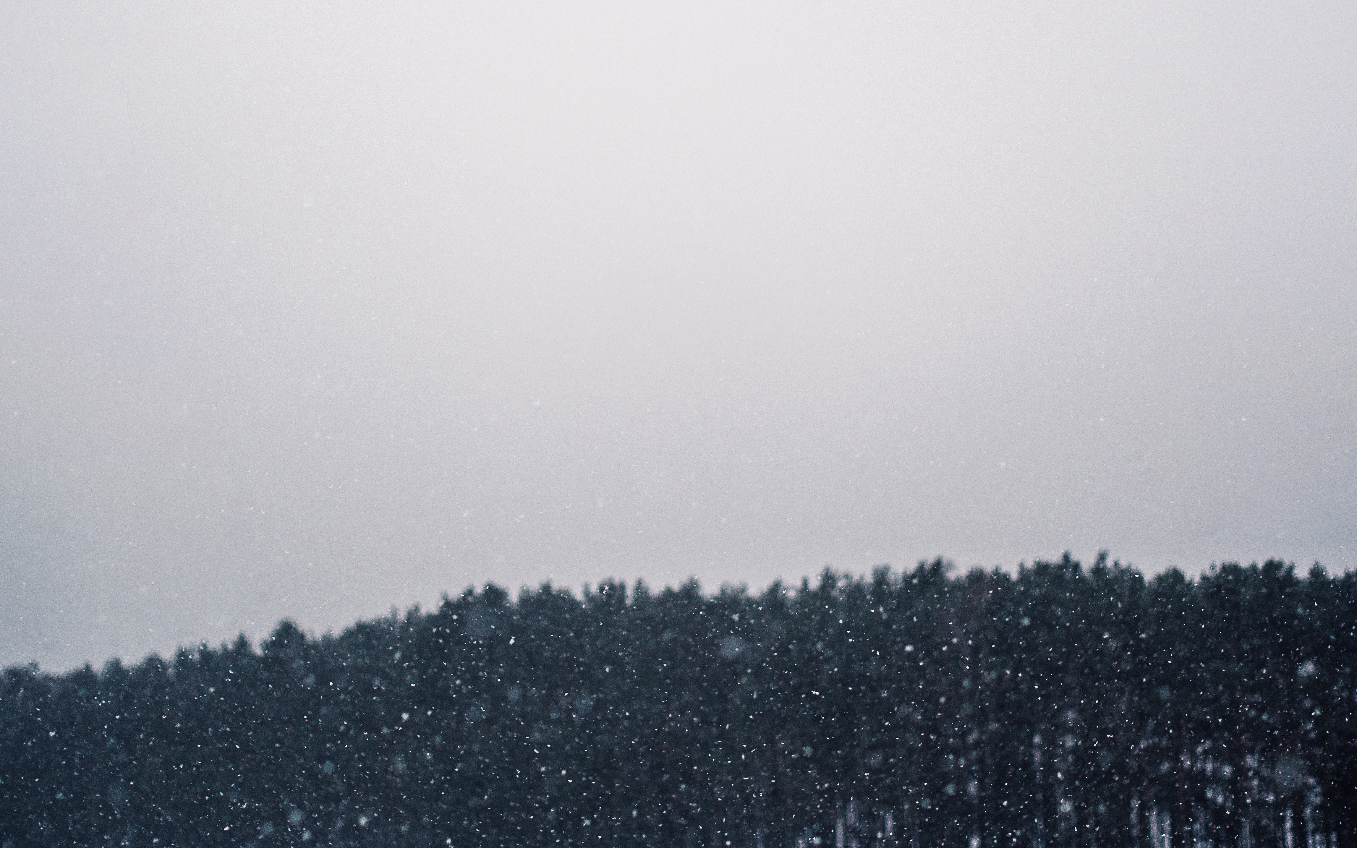 Snowing Blizzard Winter free image download