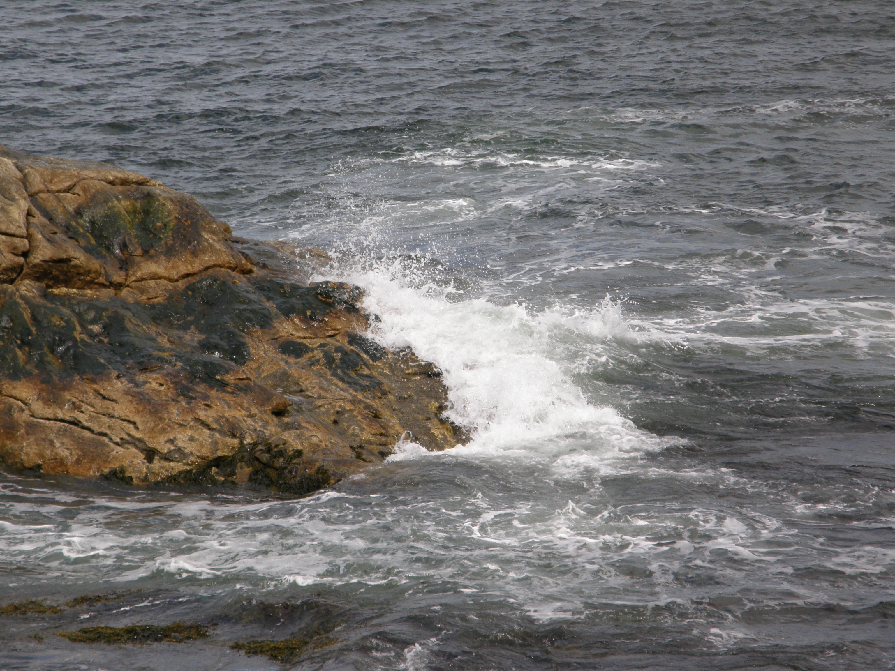 Beach Maine Surf free image download
