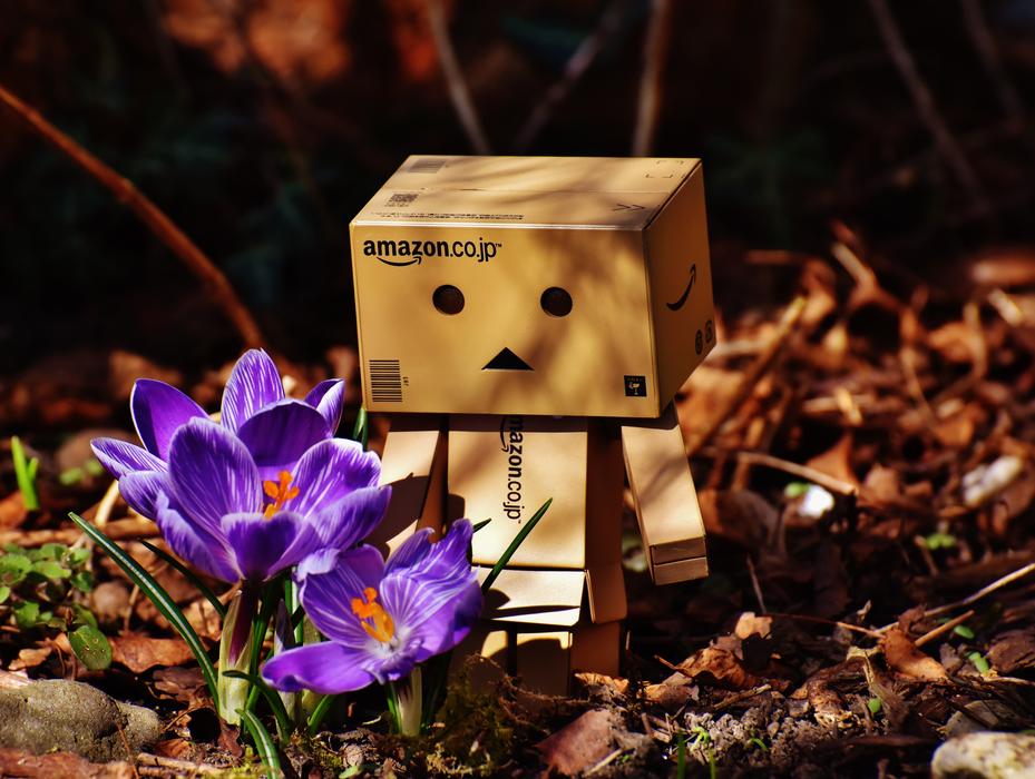 Harbinger Of Spring Danbo Crocus free image download