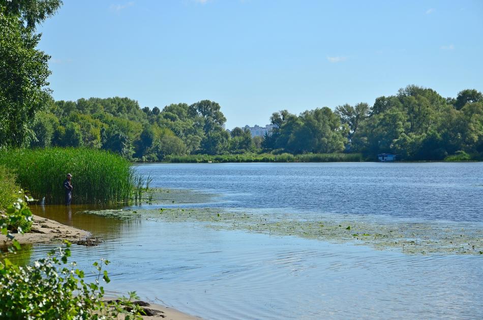 River Summer Bank free image download