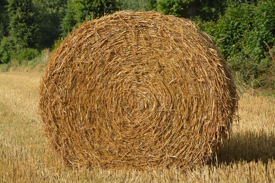 Roumballer Straw Nature Pre free image download