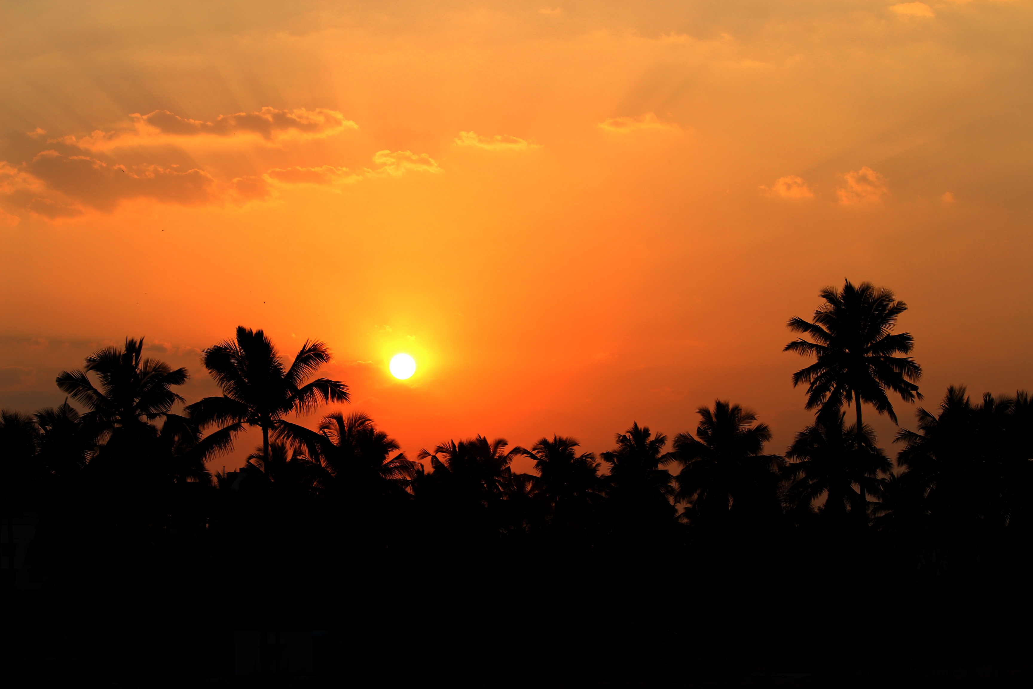 Orange Sunset scene free image download