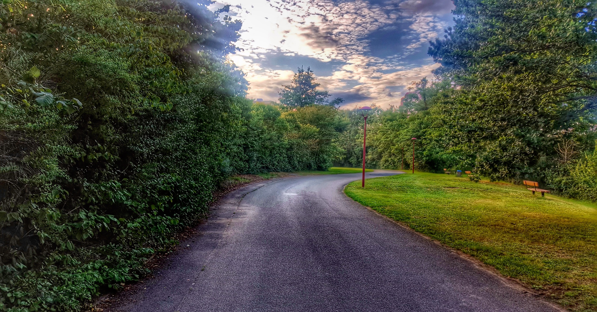 Road Nature free image download