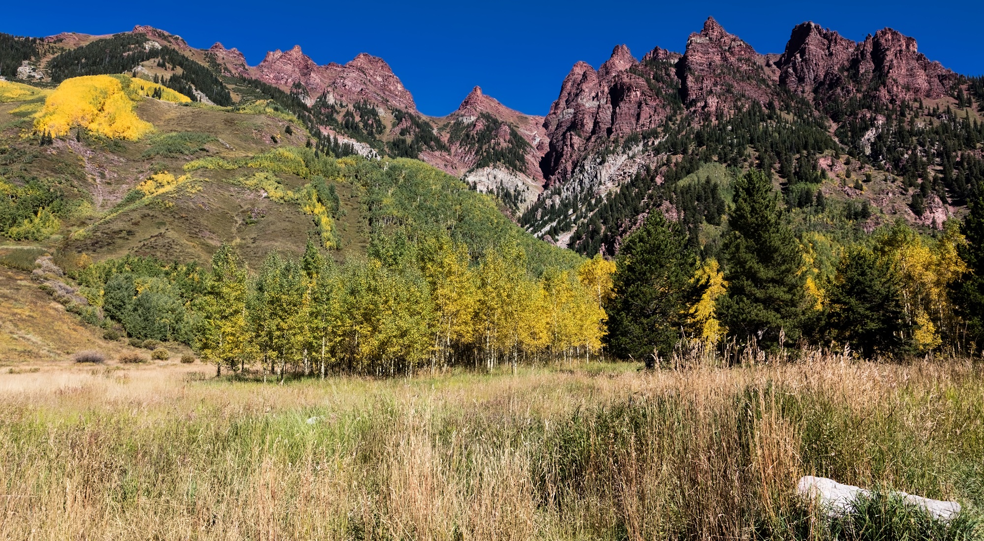 Colorado Autumn Fall free image download