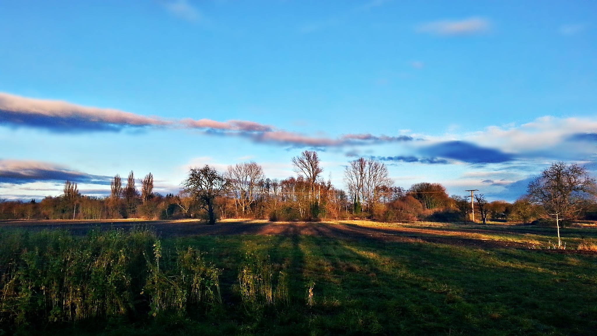 Landscape Field Nature free image download