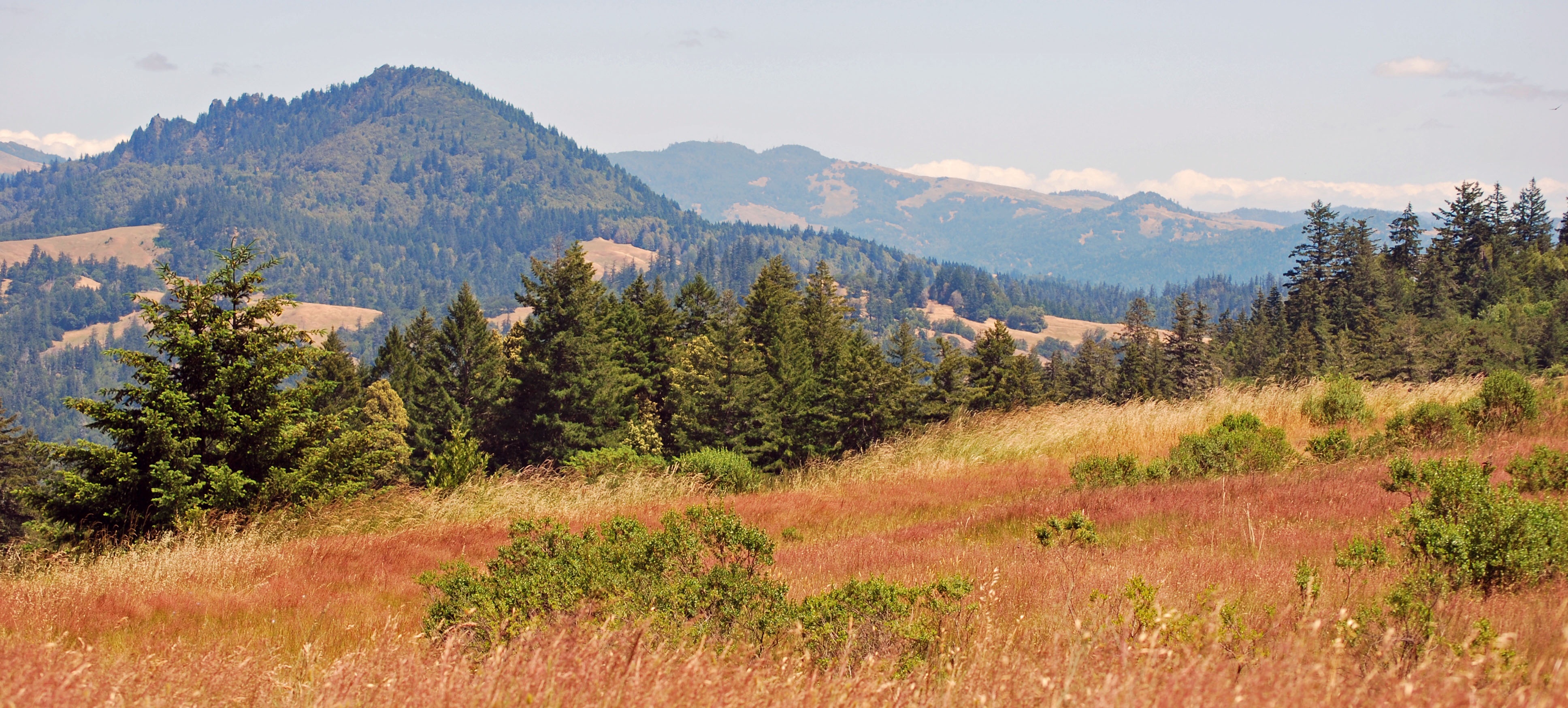California Summer scenery free image download
