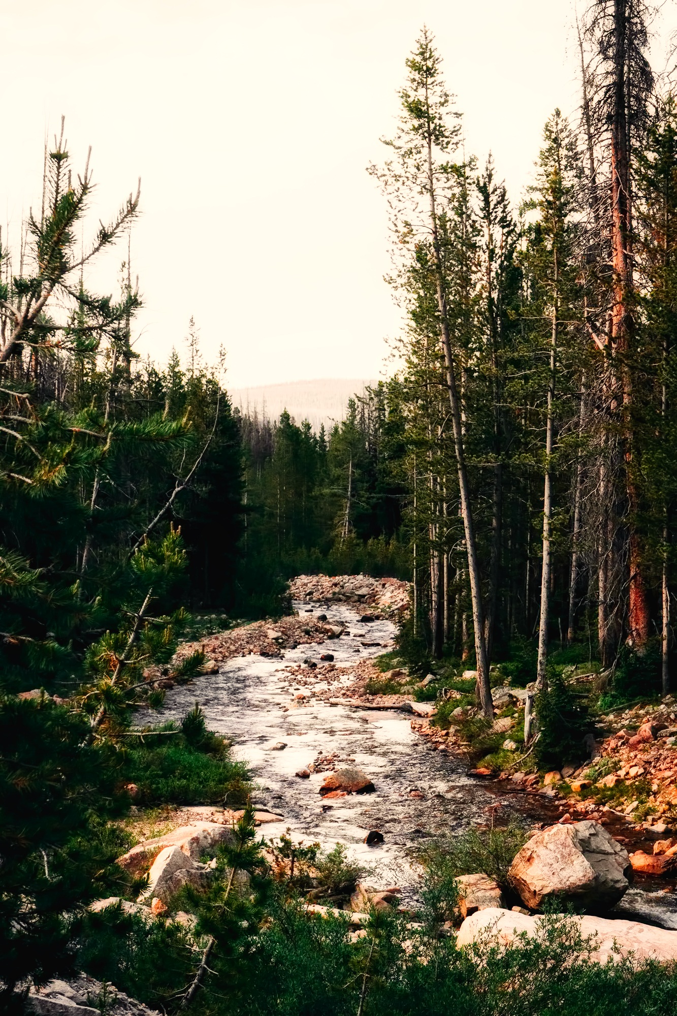River Stream Landscape free image download