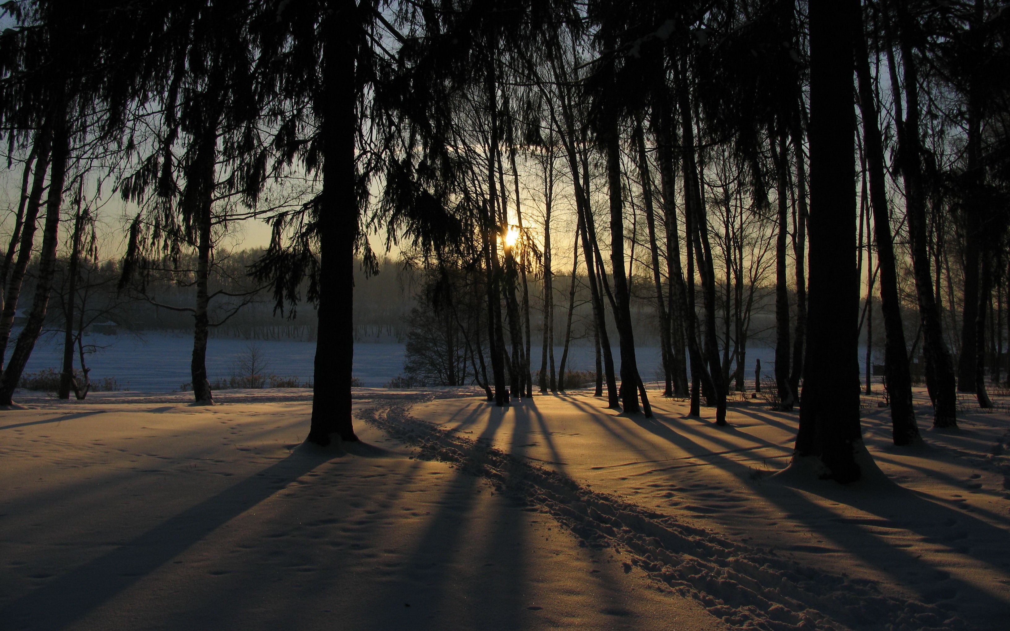 Winter Snow Sun free image download