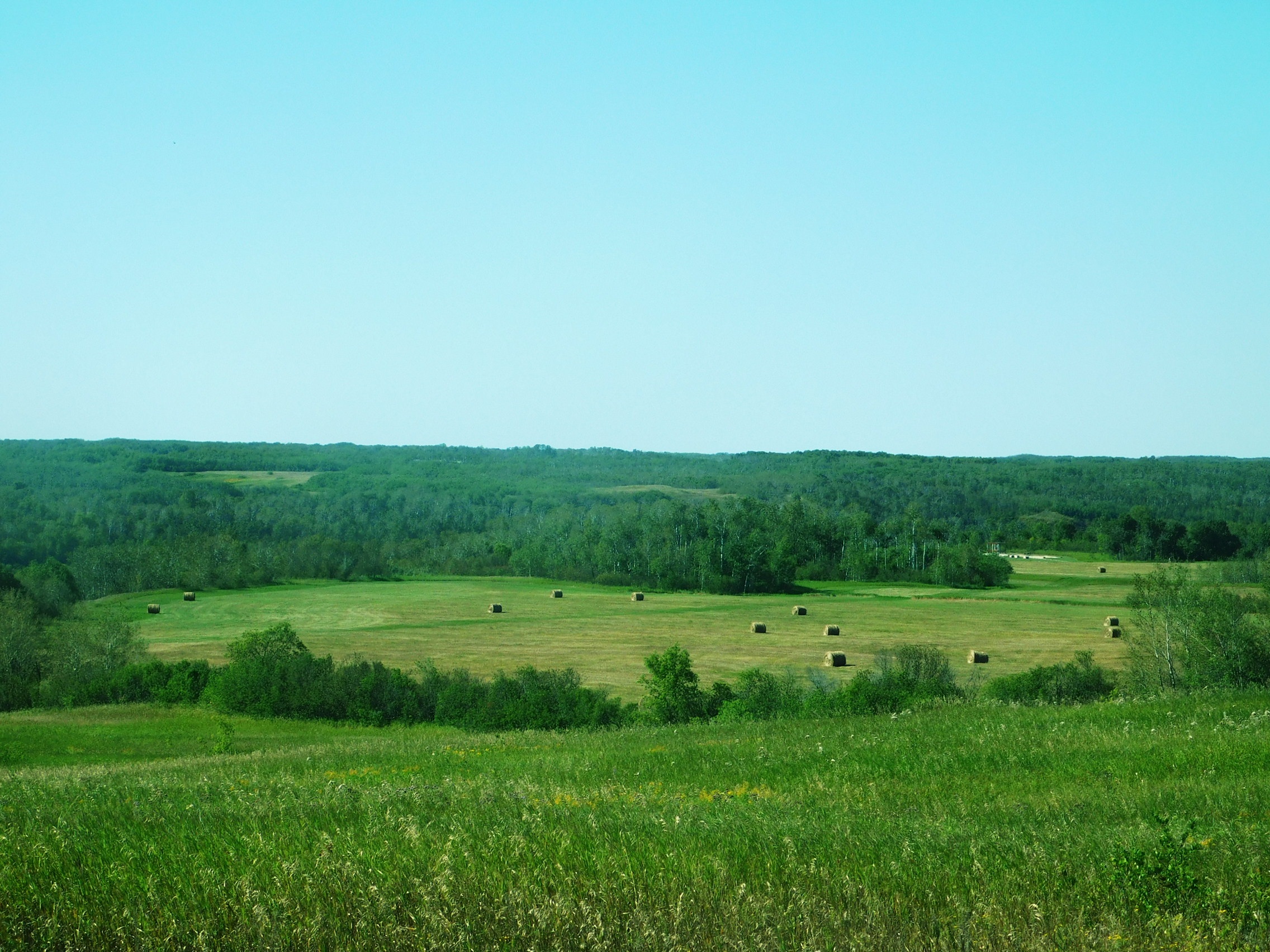 Landscape Green Hay Bail free image download