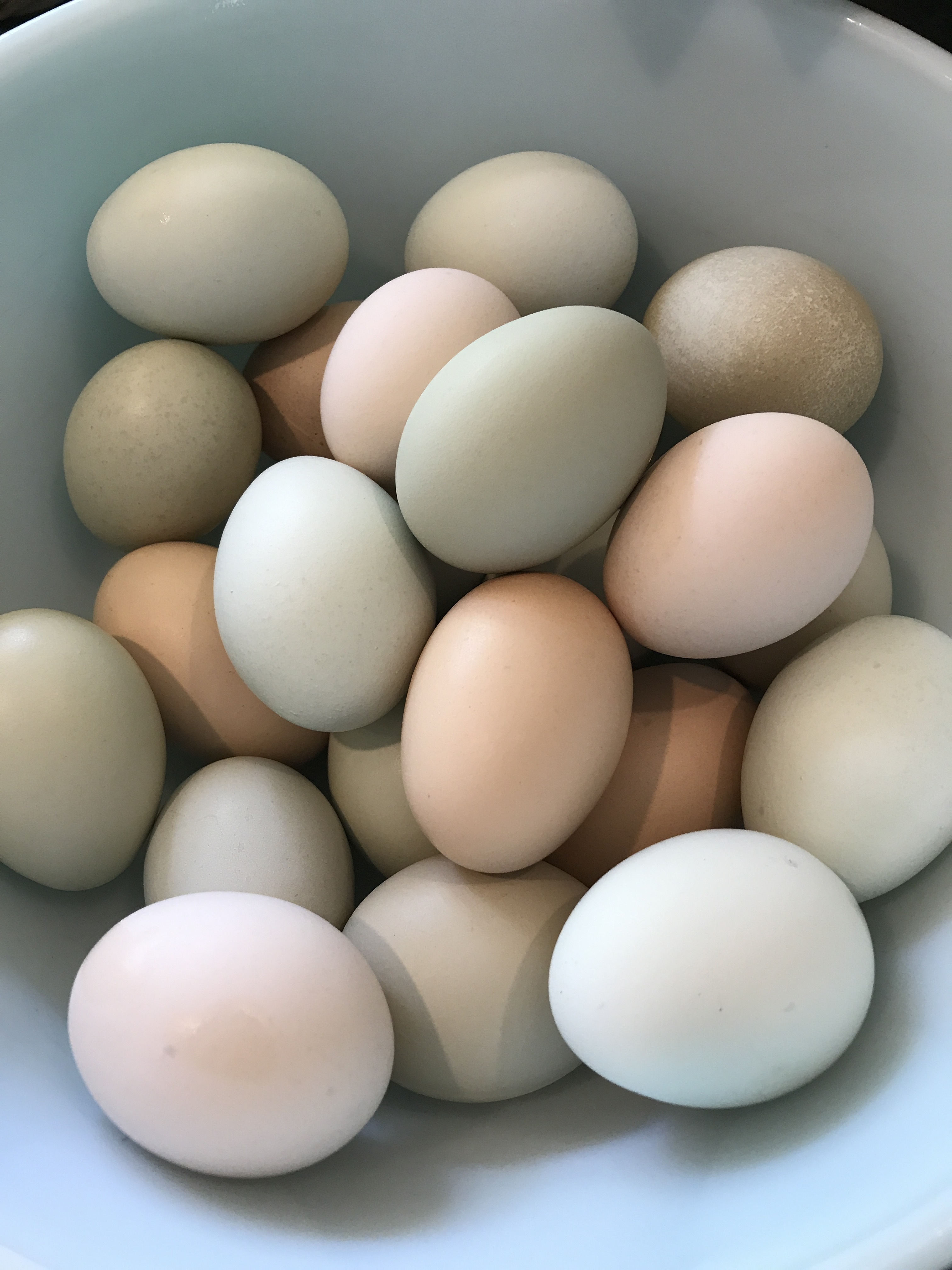 Raw eggs on a plate free image download