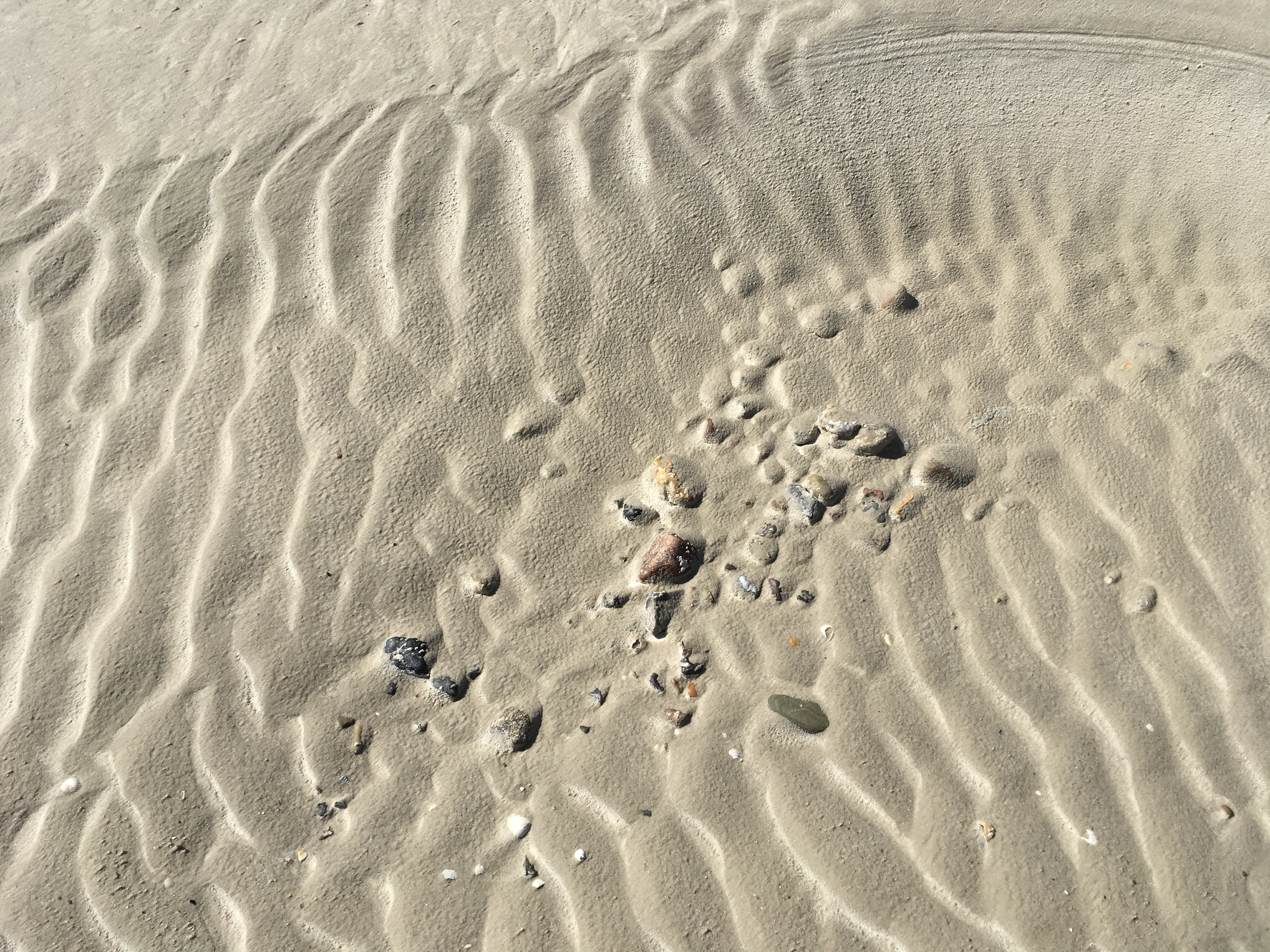 North Sea Beach Sand free image download