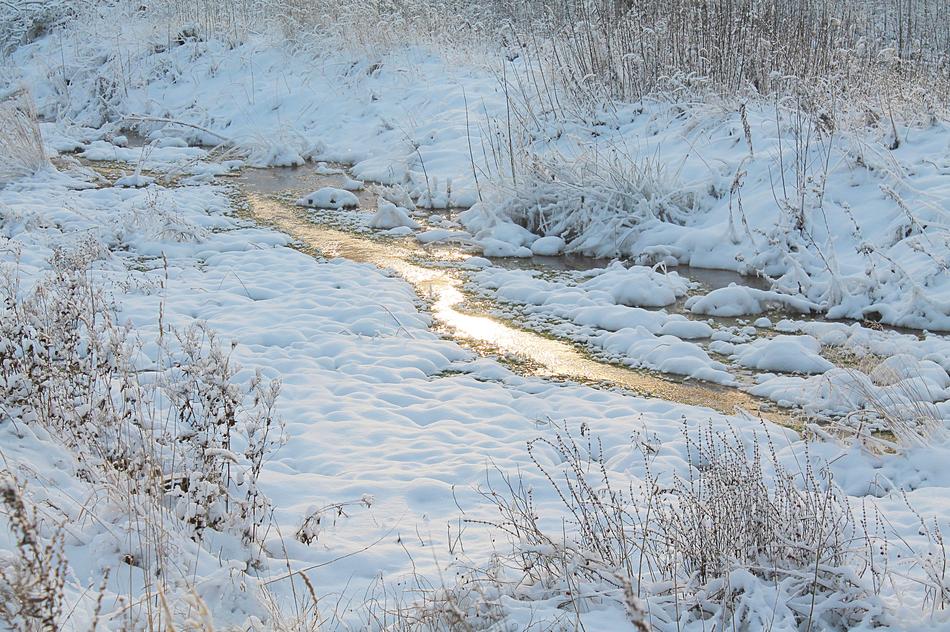 Winter Thaw Landscape free image download