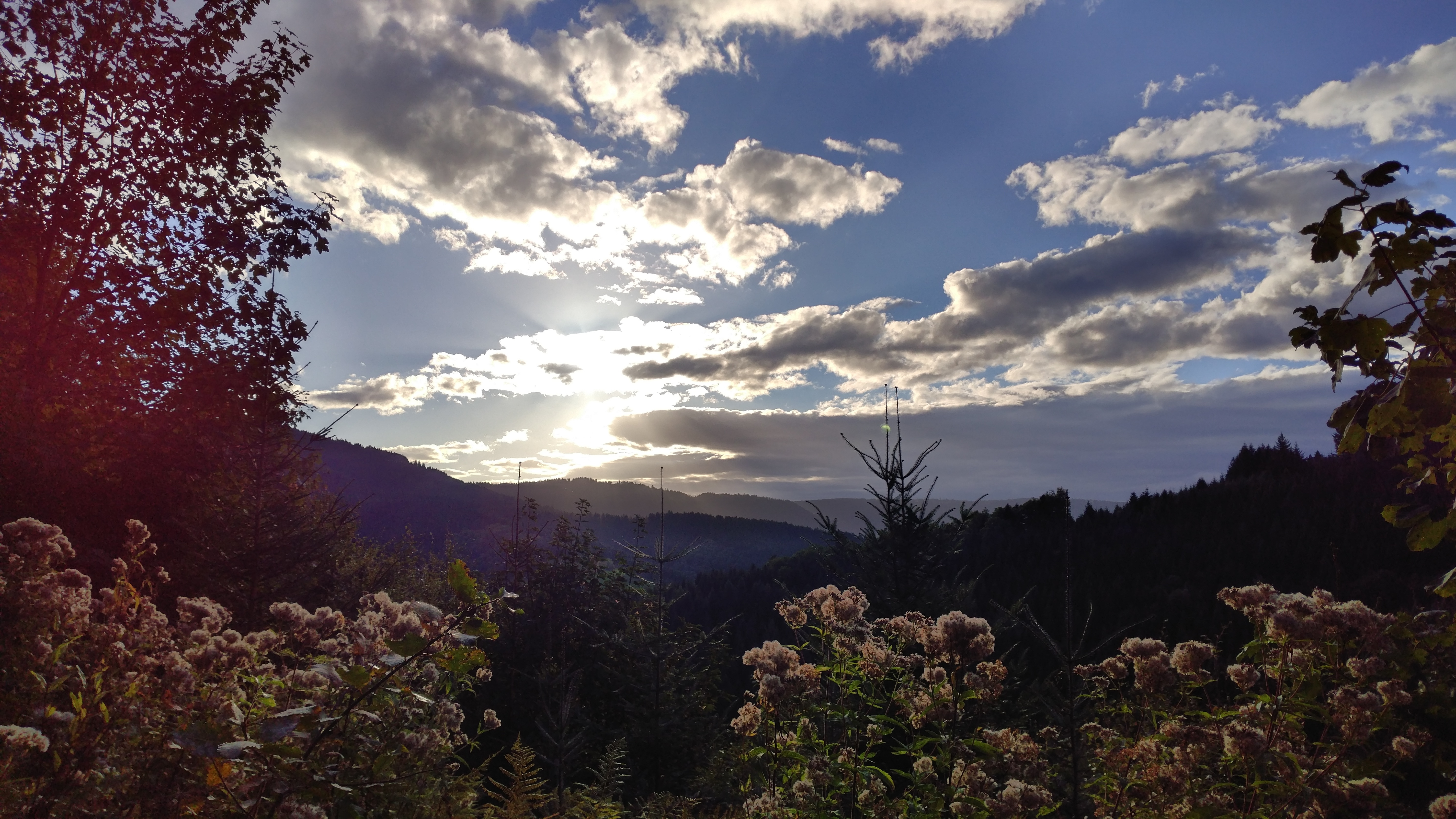 Sun Landscape Twilight free image download