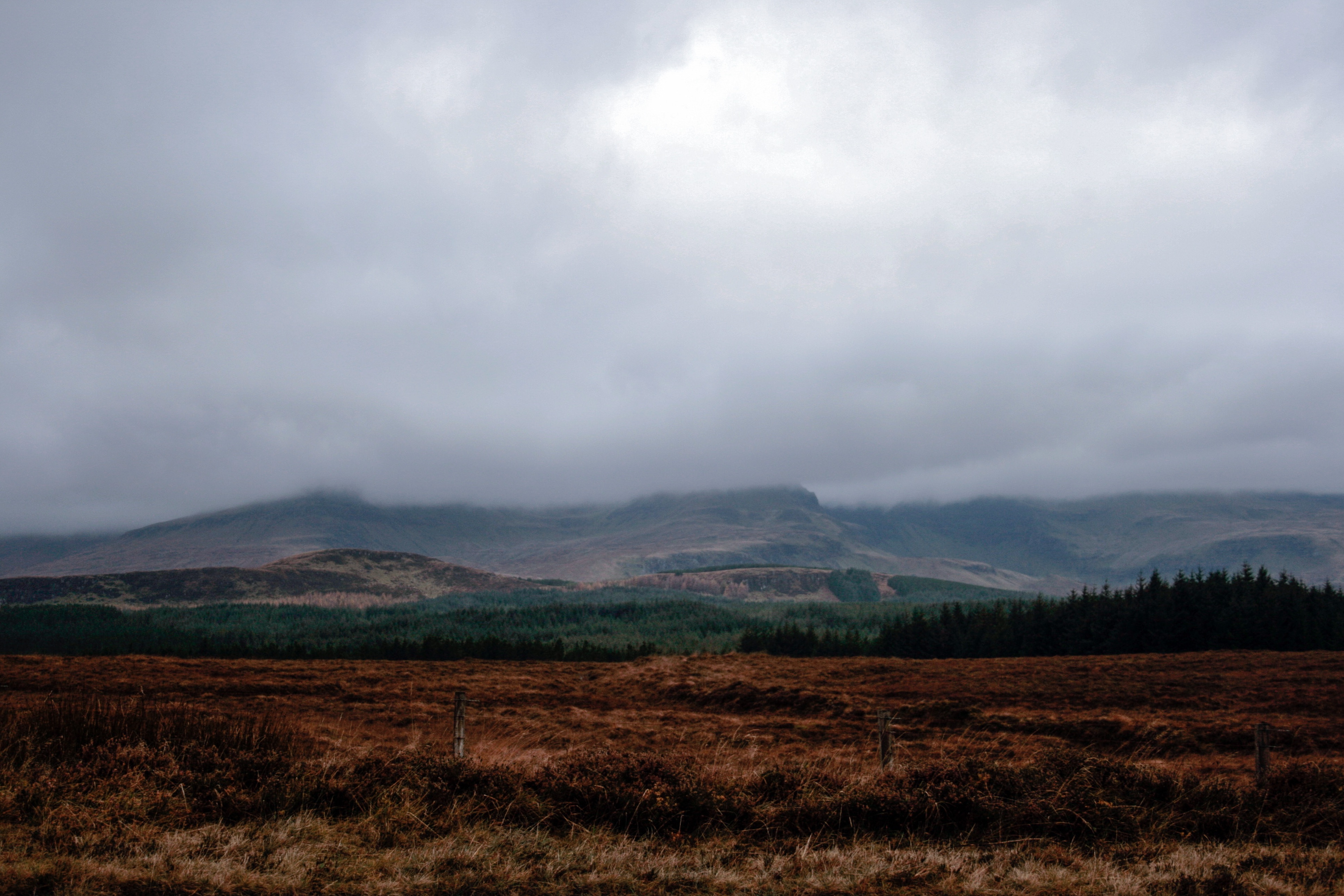 Mountain Highland Grass free image download