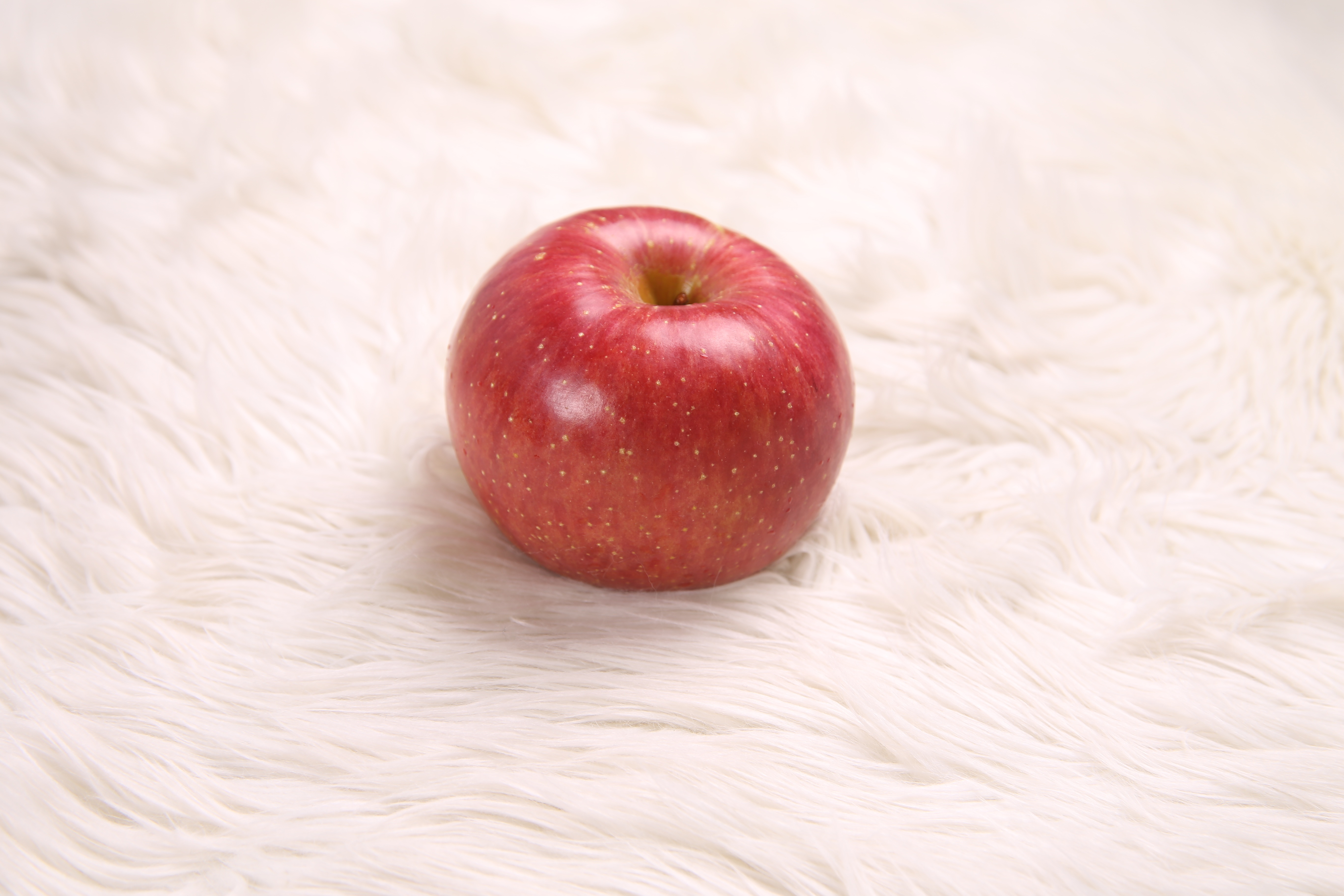Single apple on a white background free image download