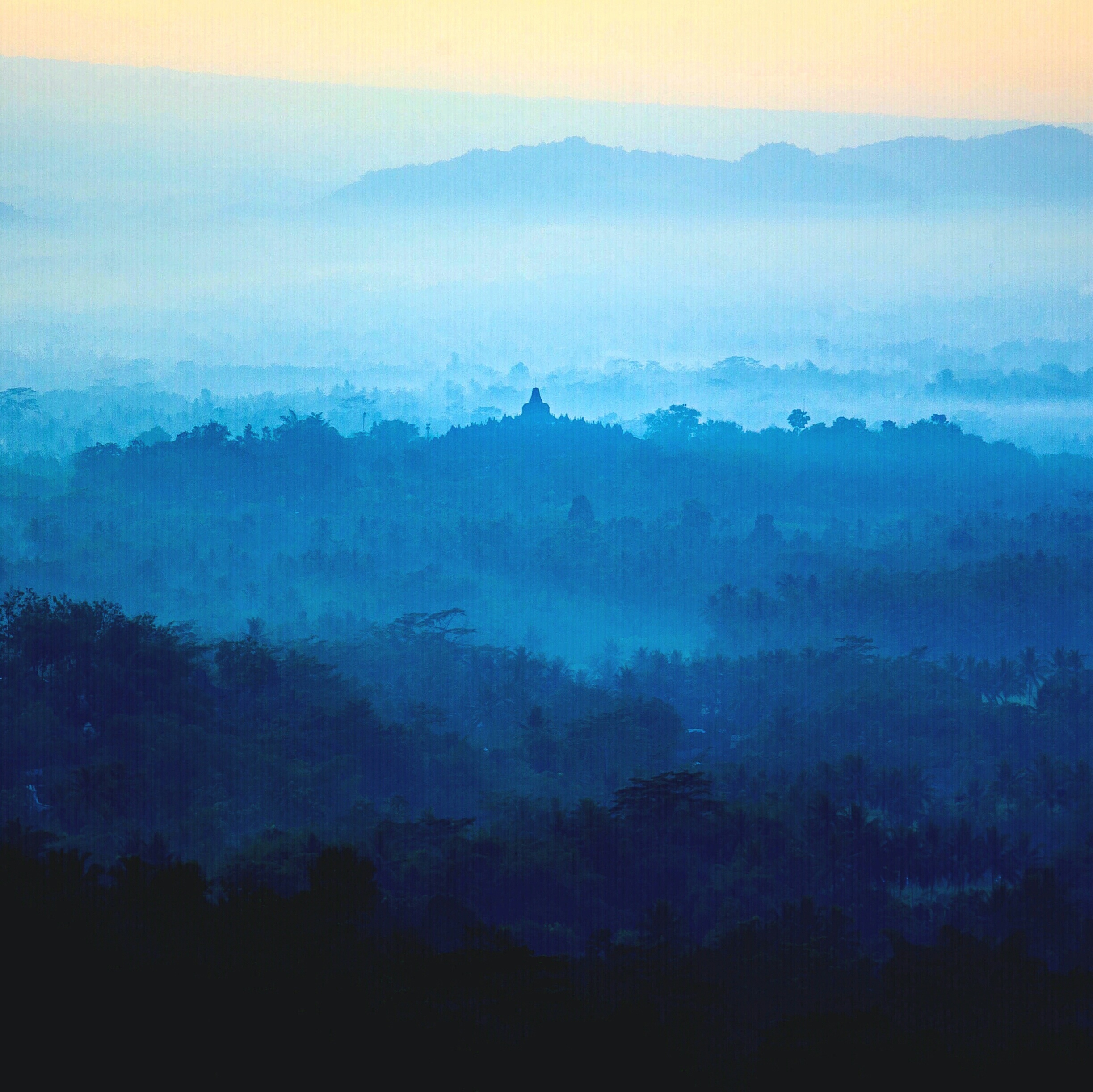 Dark Blue Trees free image download