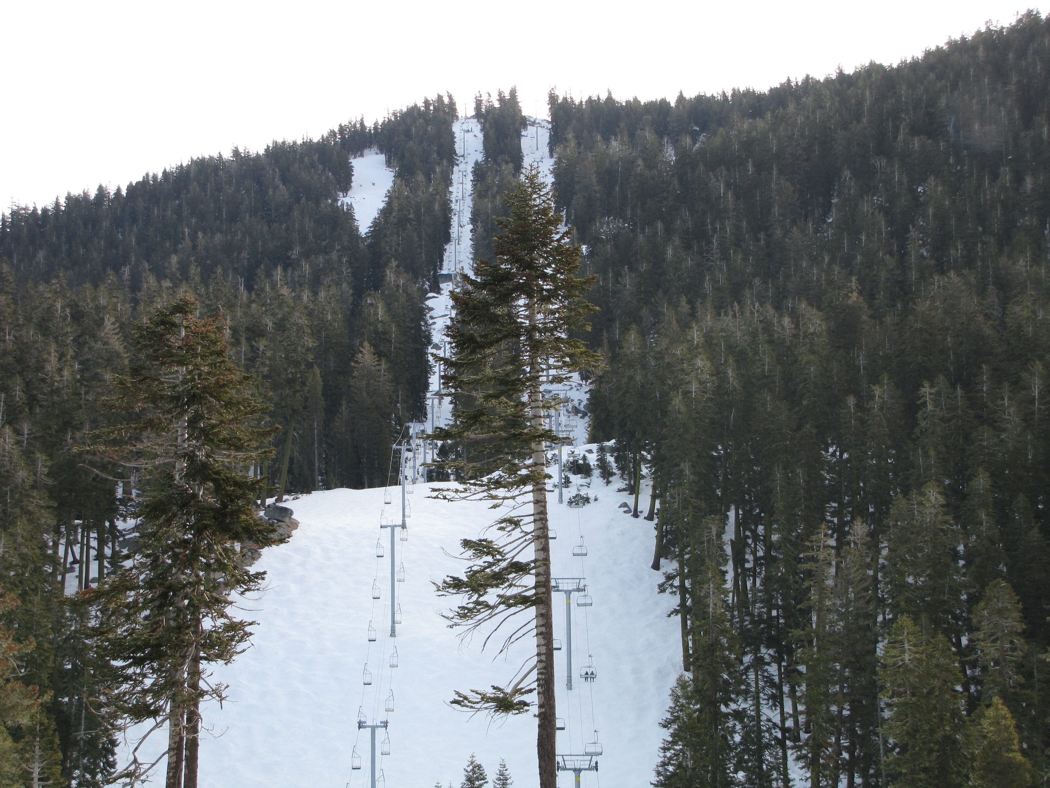 Snow Hill Nature free image download