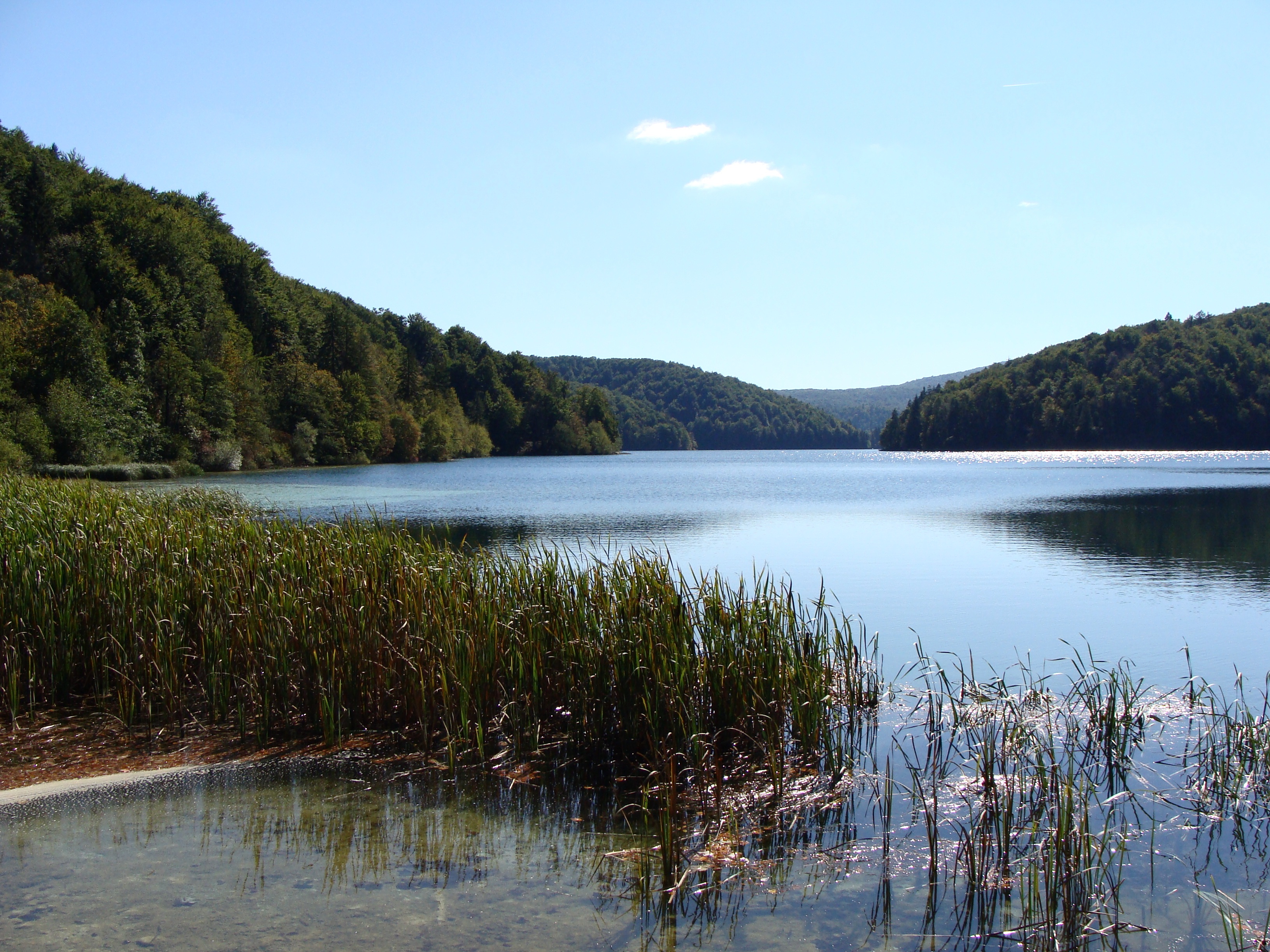 Nature Lake Water Sunny free image download