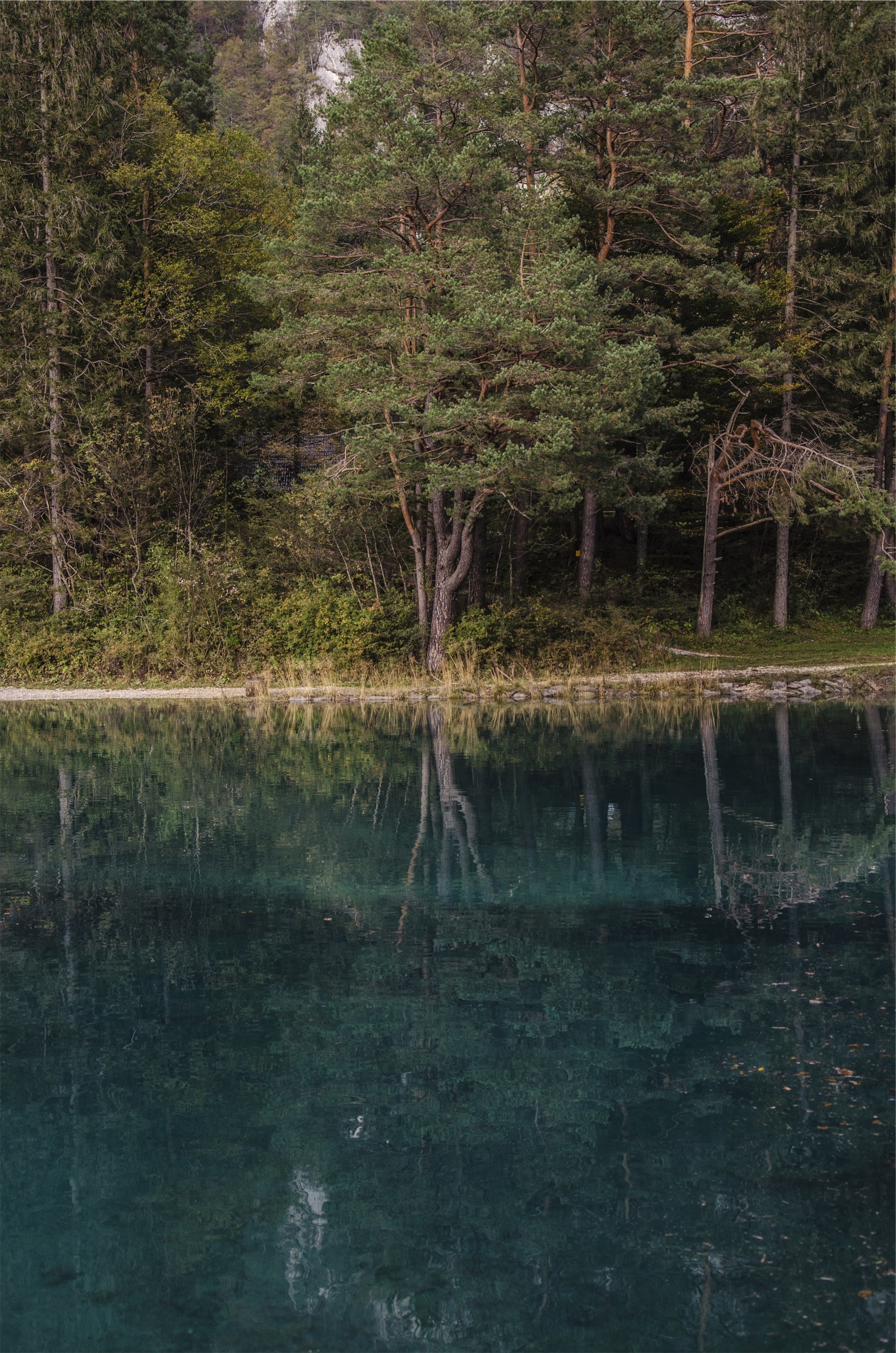 Lake Water Reflection free image download