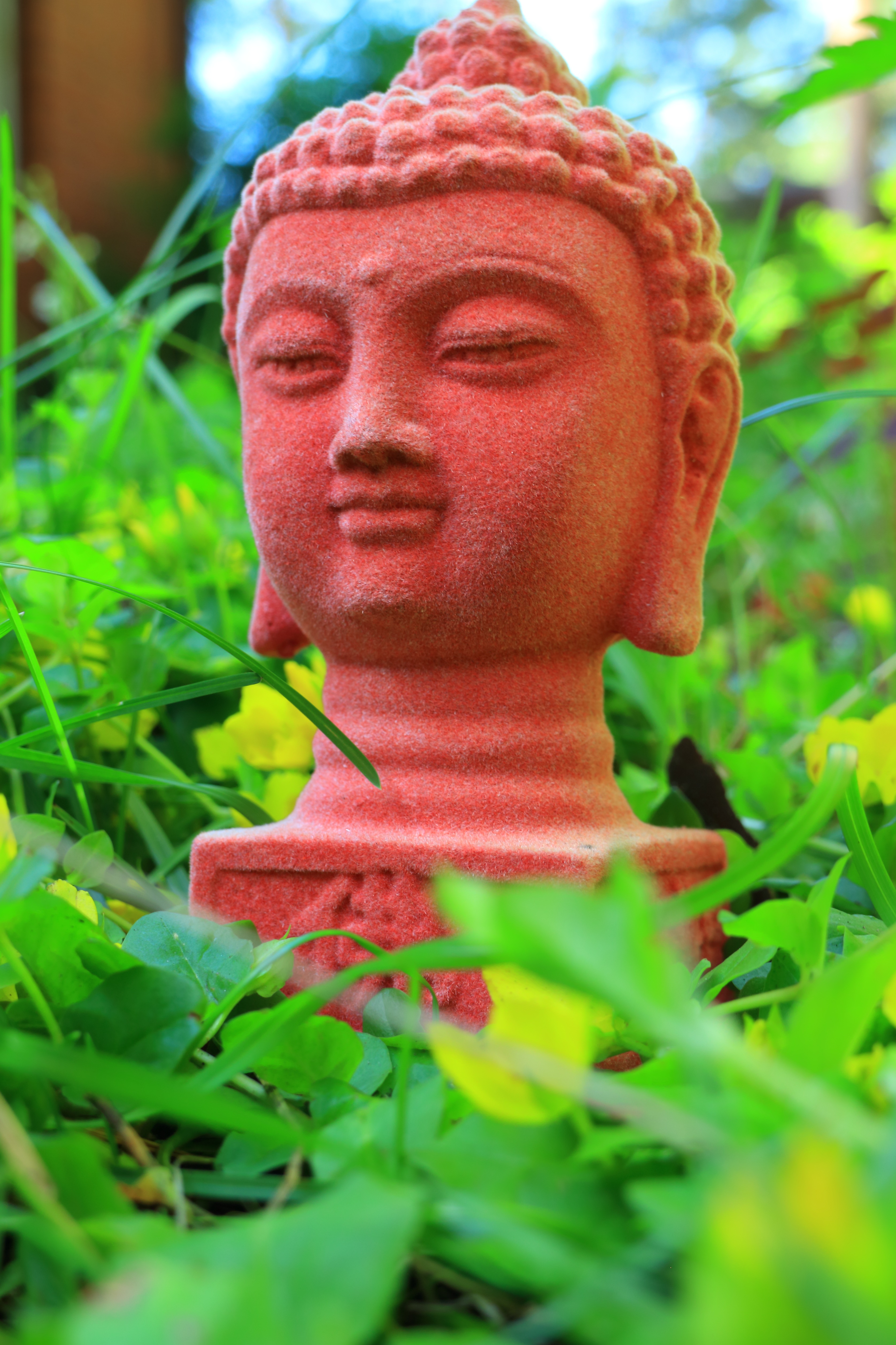 Red Buddhist Buddha Statue free image download