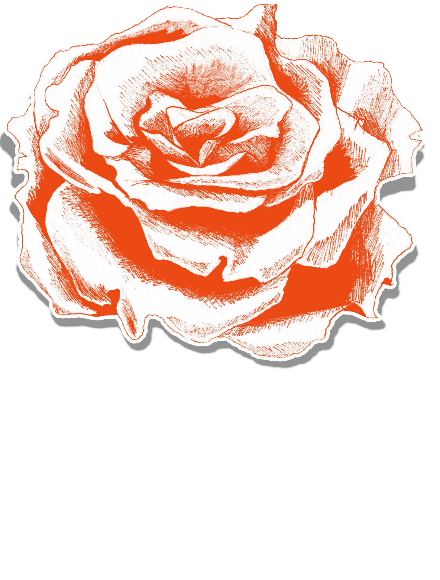 Rose flower red floral element free image download