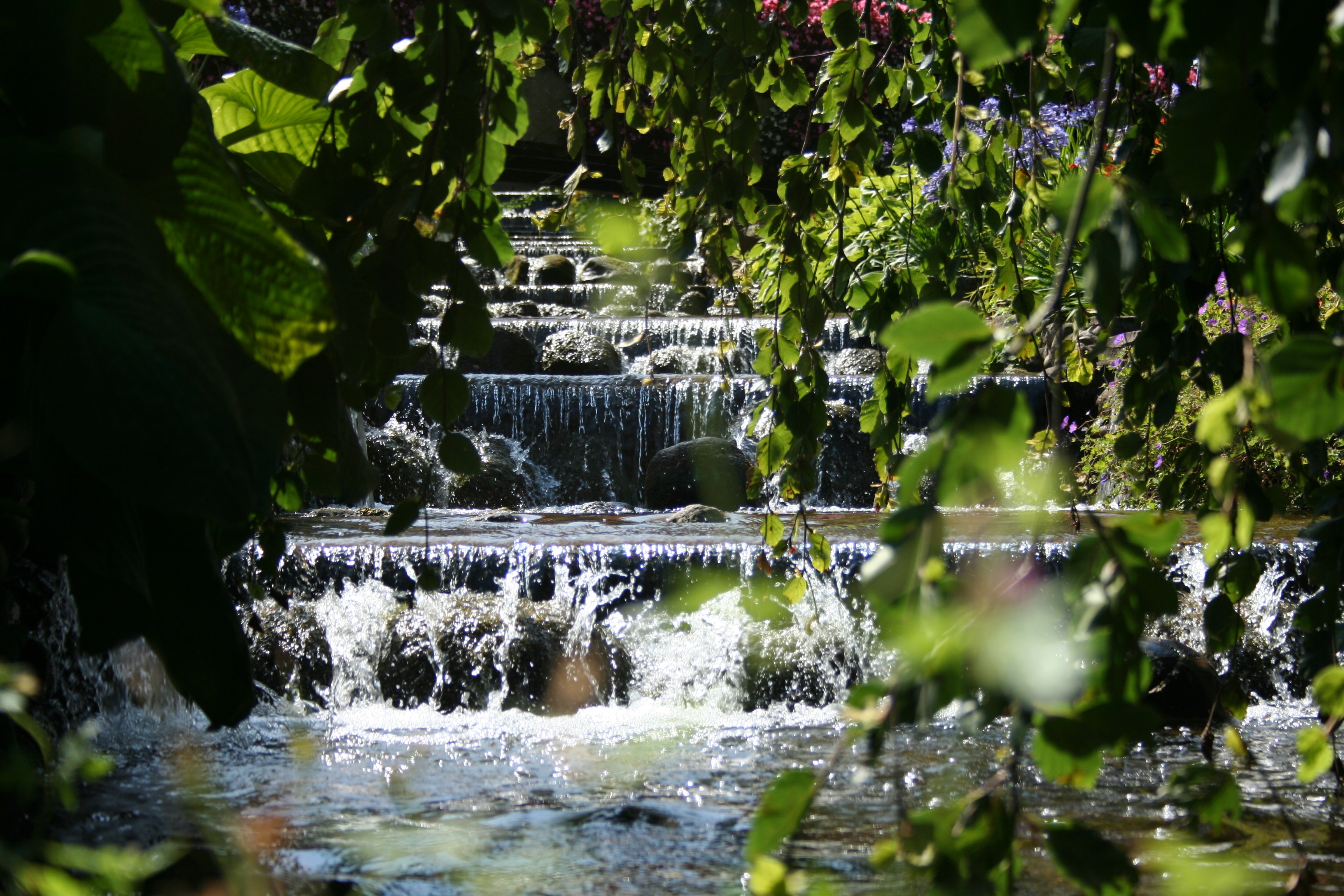 Nature Spring Waterfall free image download